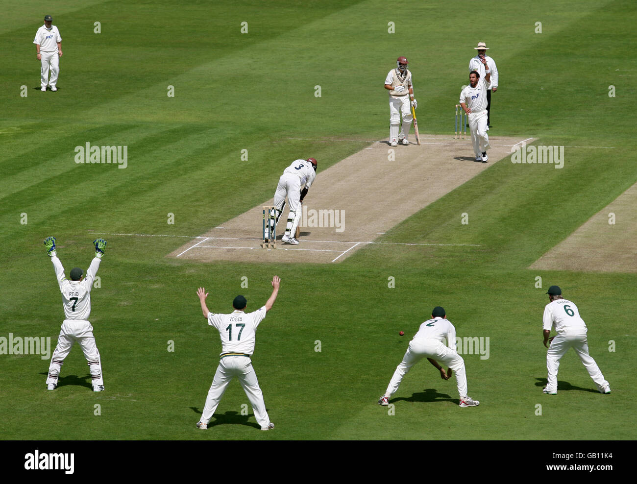 Nottinghamshire's Andre Adams traps Pedro Collins LBW to end Surrey's ...