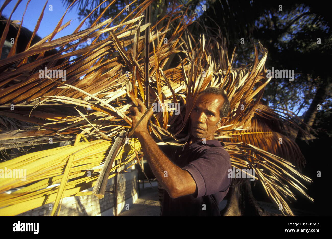 maldivian people in a village island of the island and atoll of the ...