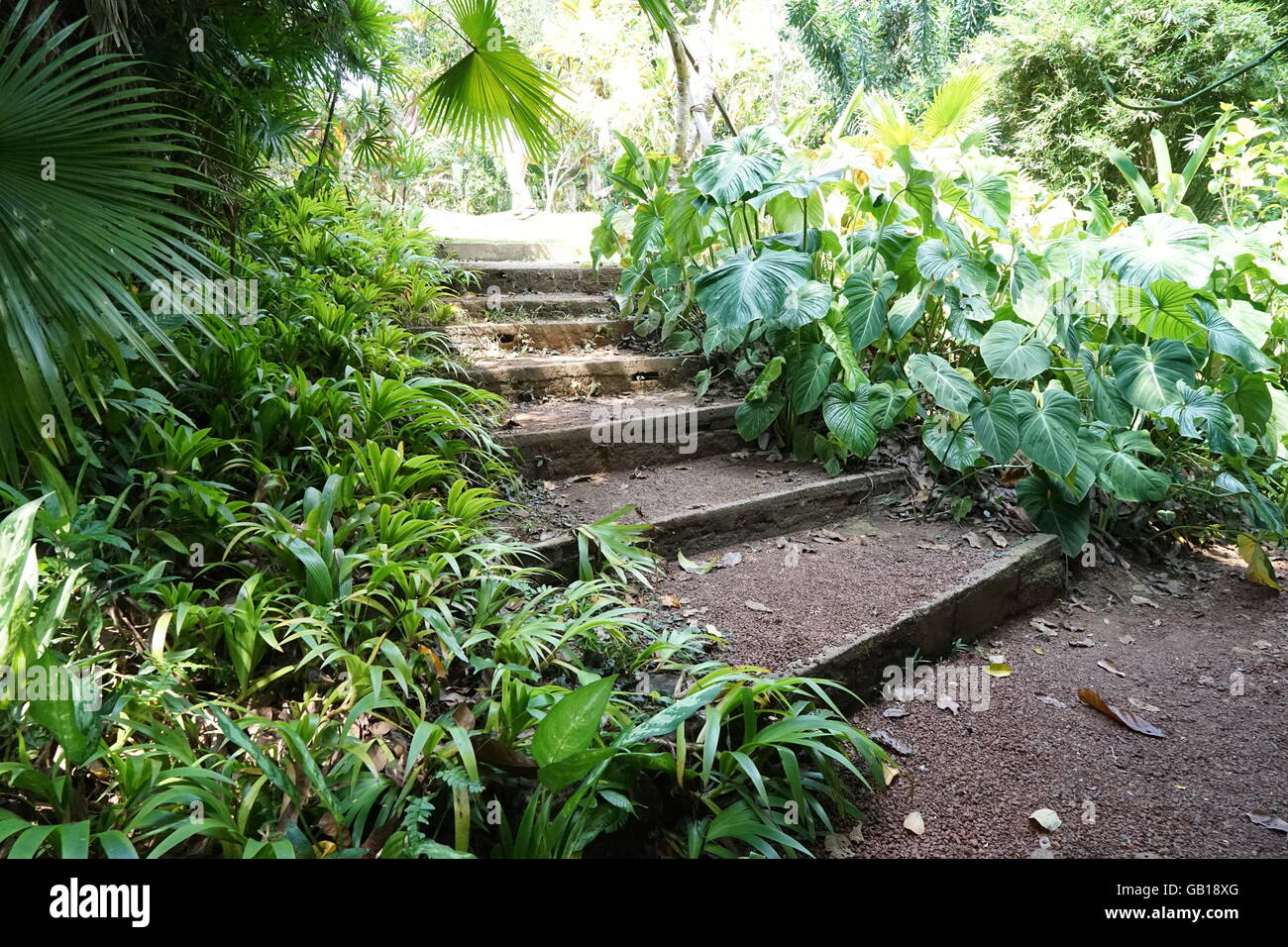 Inside Brief Gardens by Bevis Bawa in Sri Lanka Brief Garden Kalawila ...