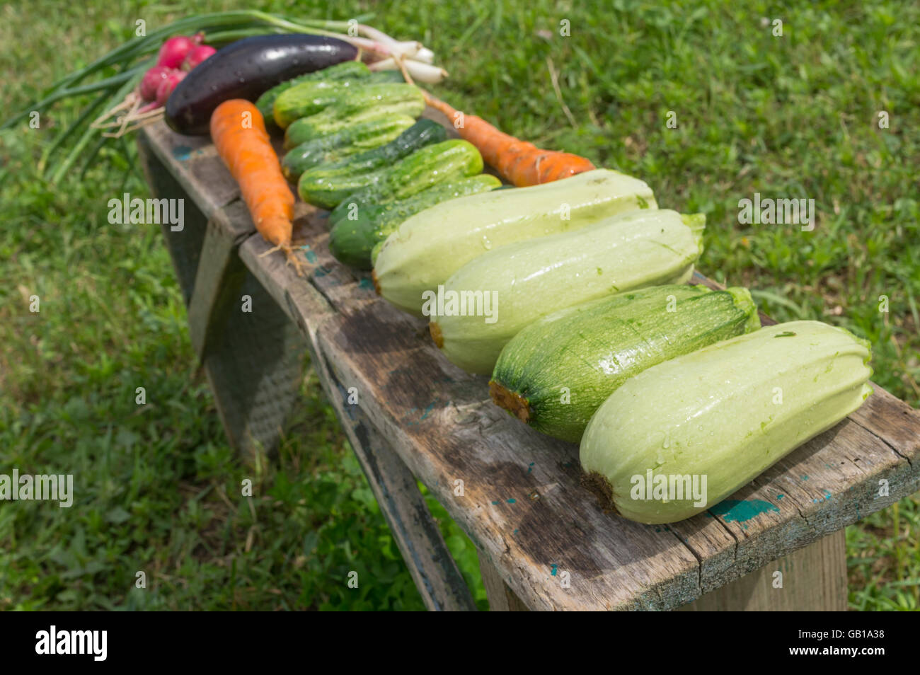 Outdoor still life with organic vegetables lying on a wooden bench ...