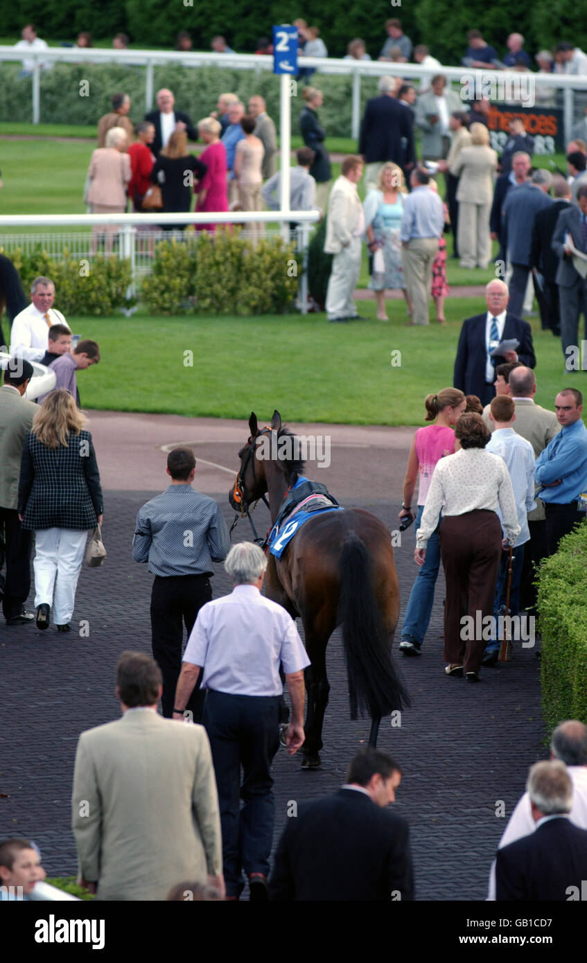 Horse Racing - Kempton Park Racecourse Stock Photo - Alamy
