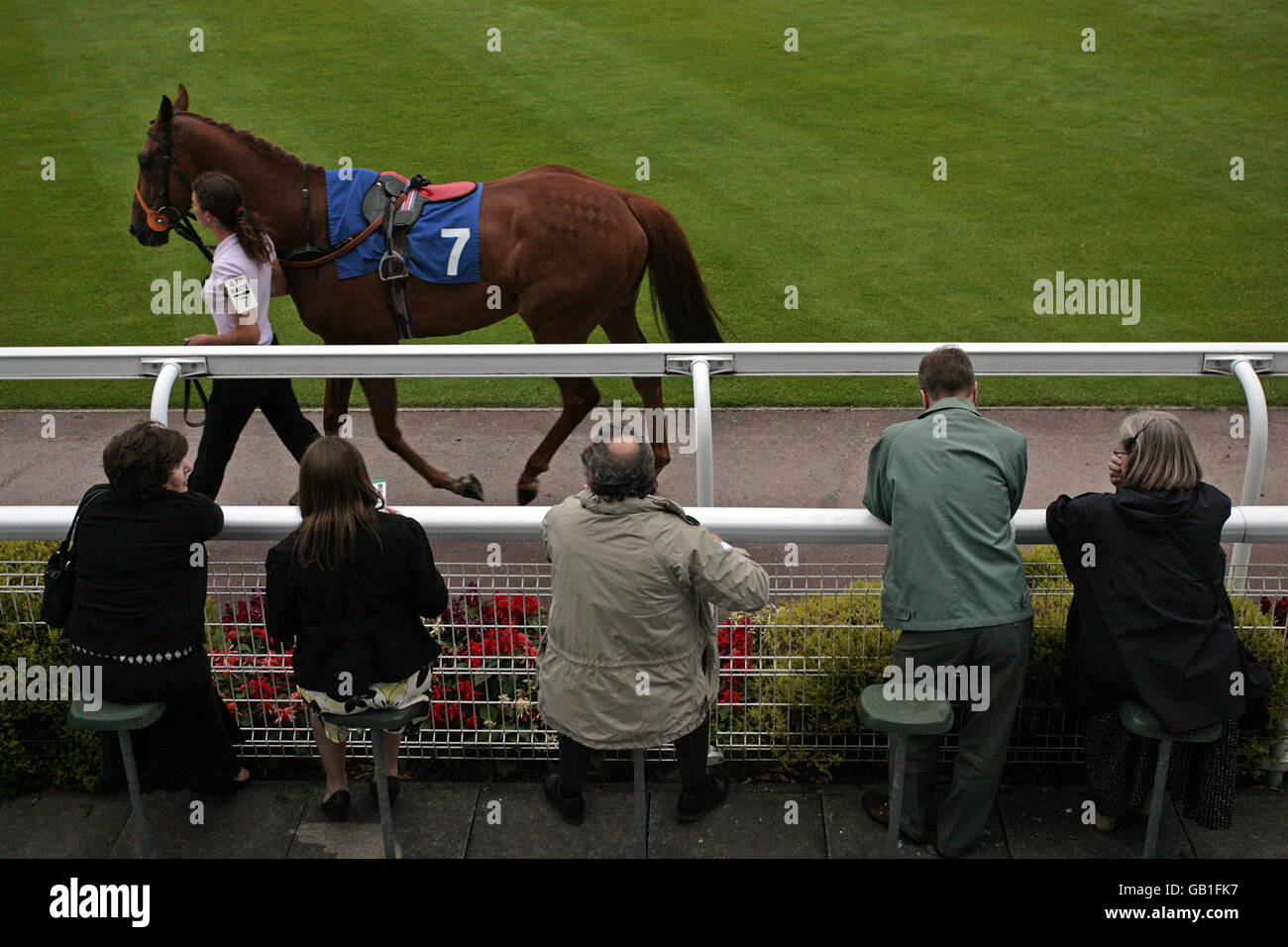 Horses being lead hi-res stock photography and images - Alamy