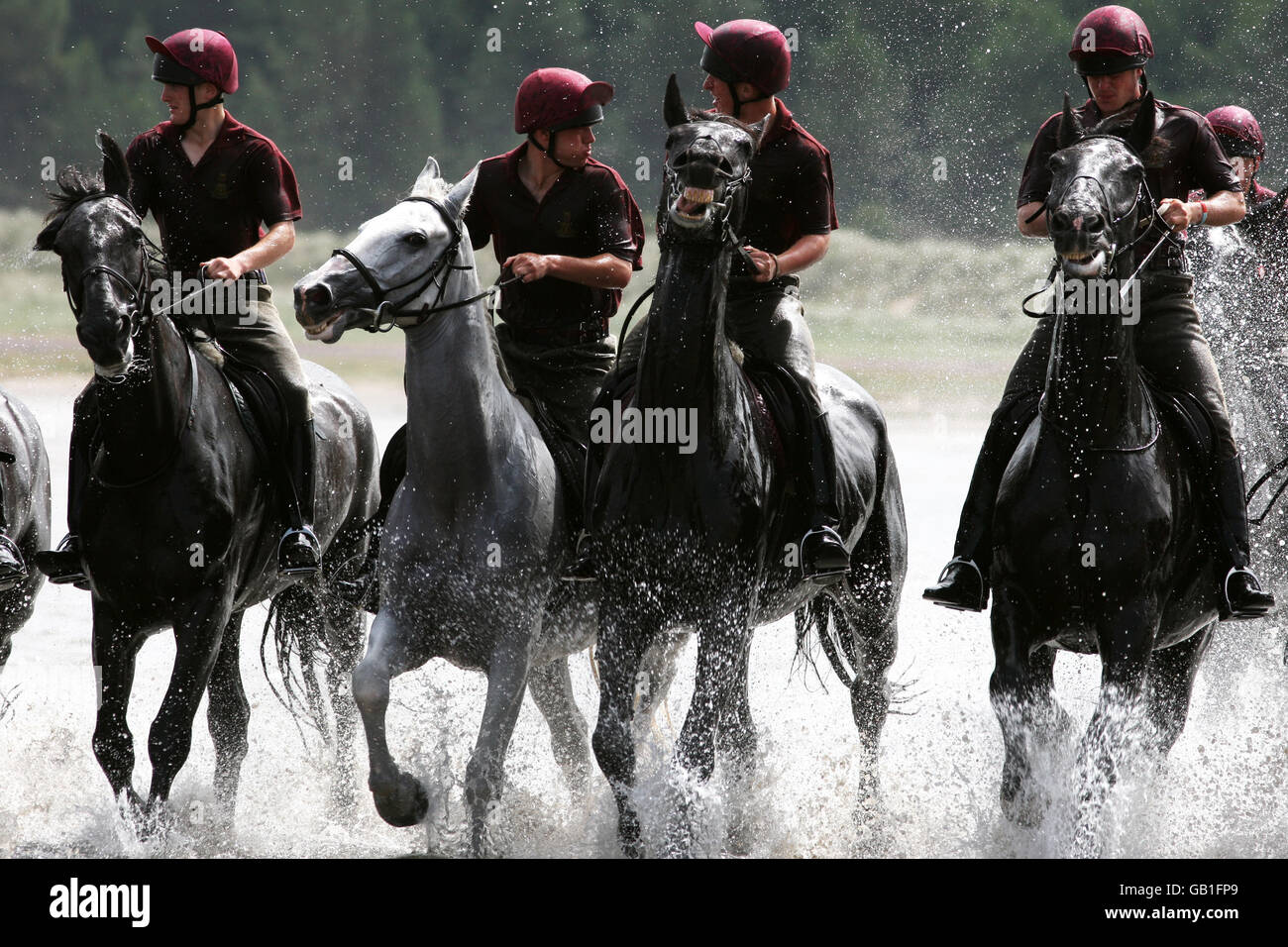 The life guards regiment hi-res stock photography and images - Alamy