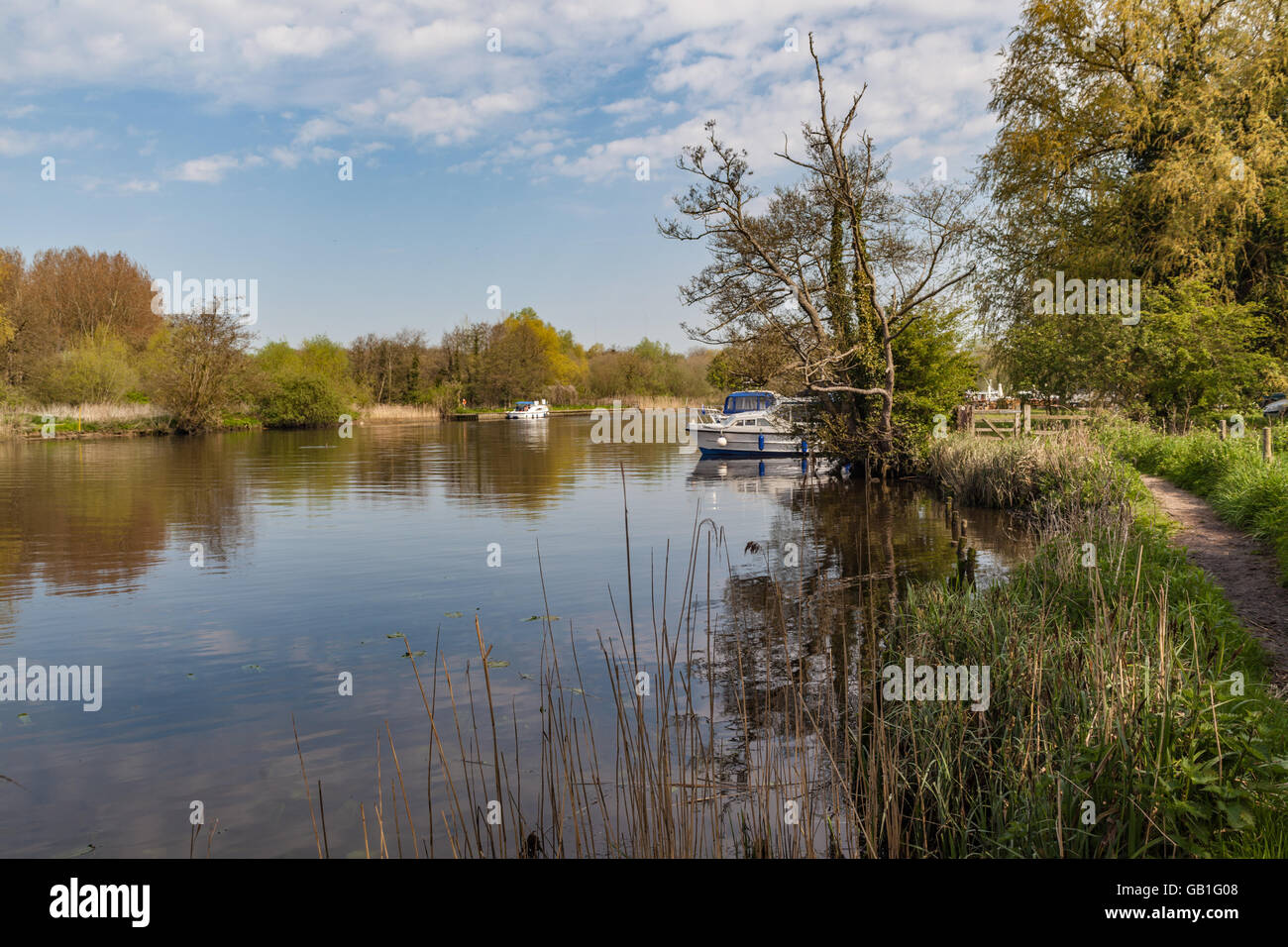 Surlingham Broad High Resolution Stock Photography and Images - Alamy