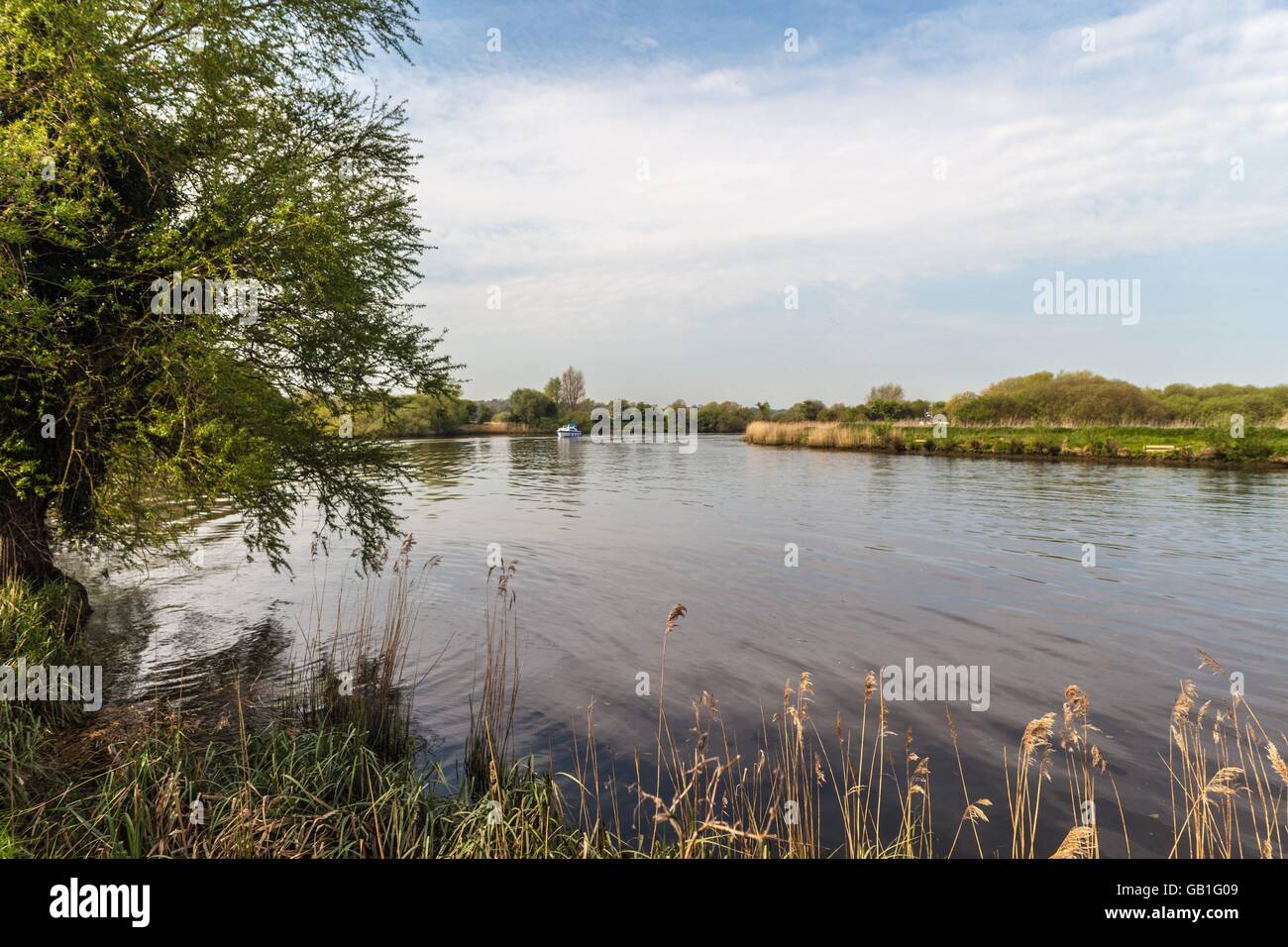 Surlingham broad hi-res stock photography and images - Alamy