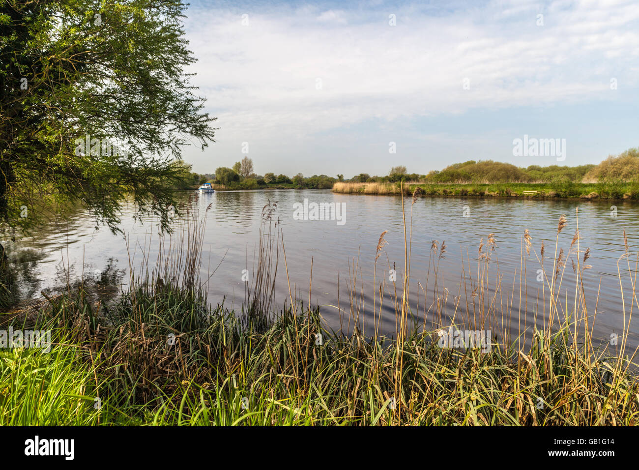 Surlingham broad hi-res stock photography and images - Alamy