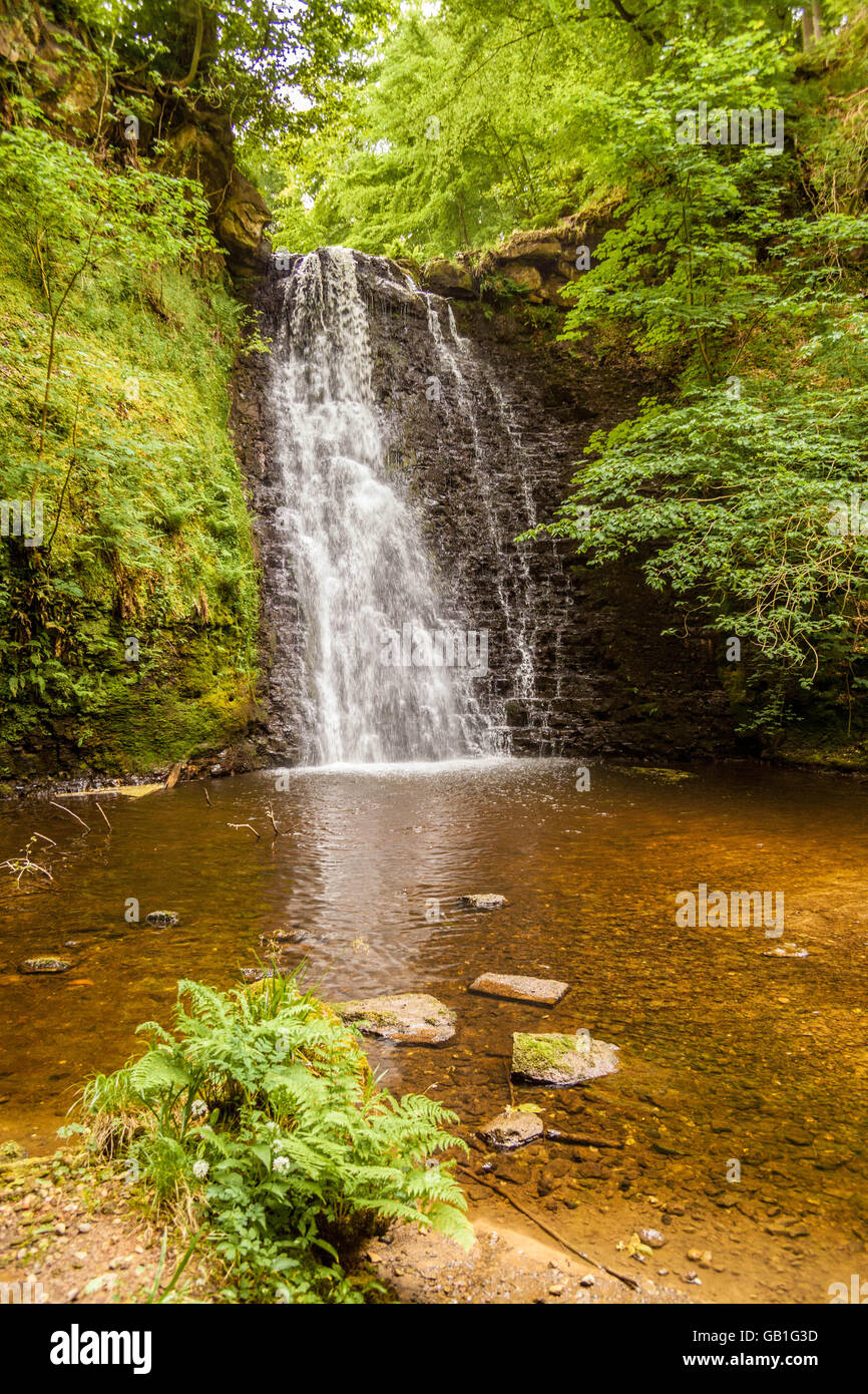 falling foss waterfall Stock Photo - Alamy
