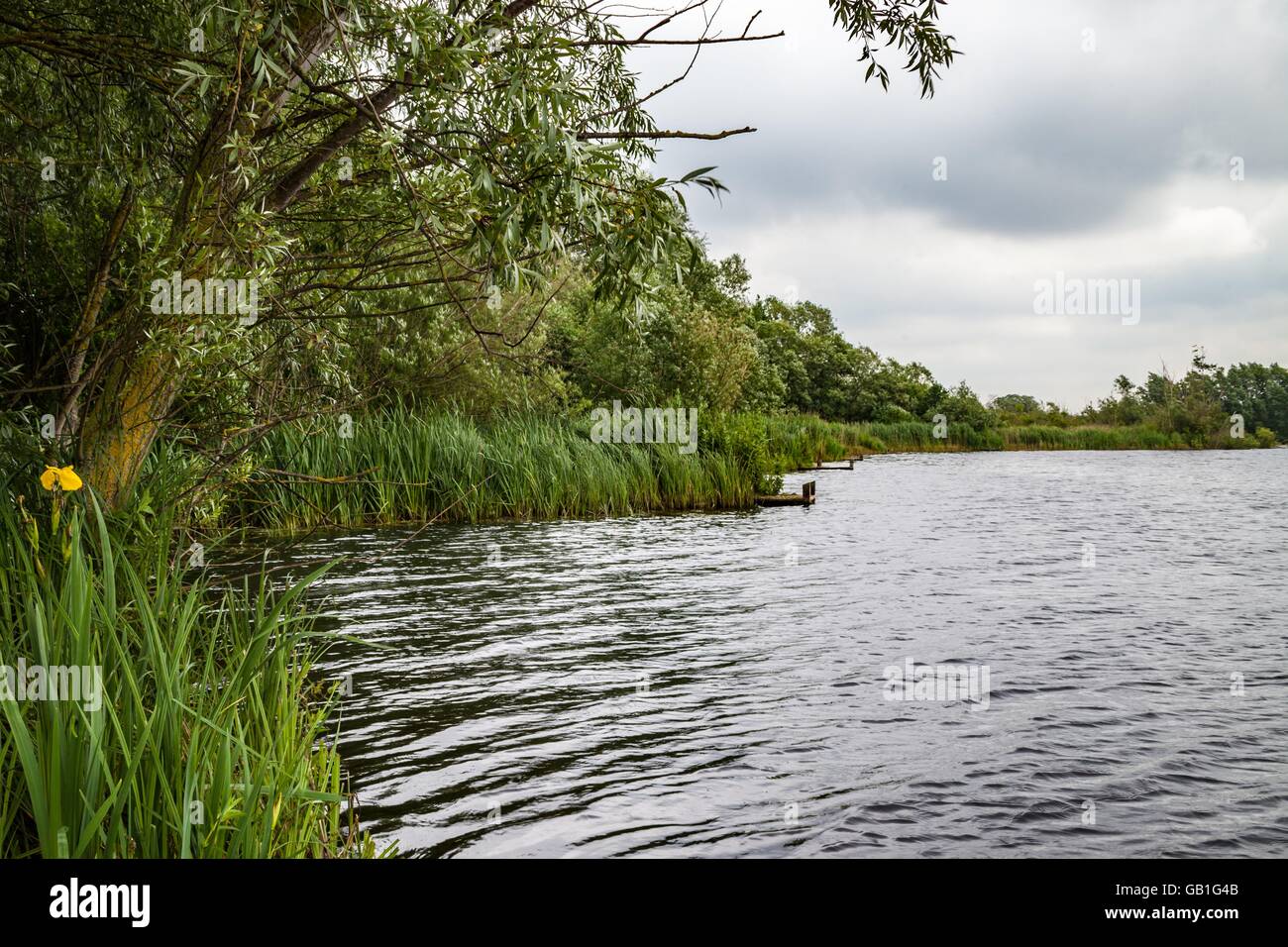 whitlingham broad norfolk uk Stock Photo - Alamy