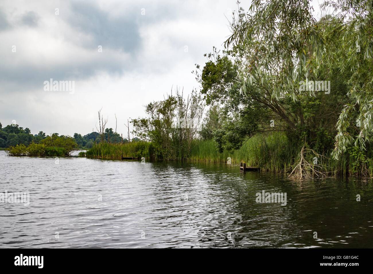 whitlingham broad norfolk uk Stock Photo - Alamy