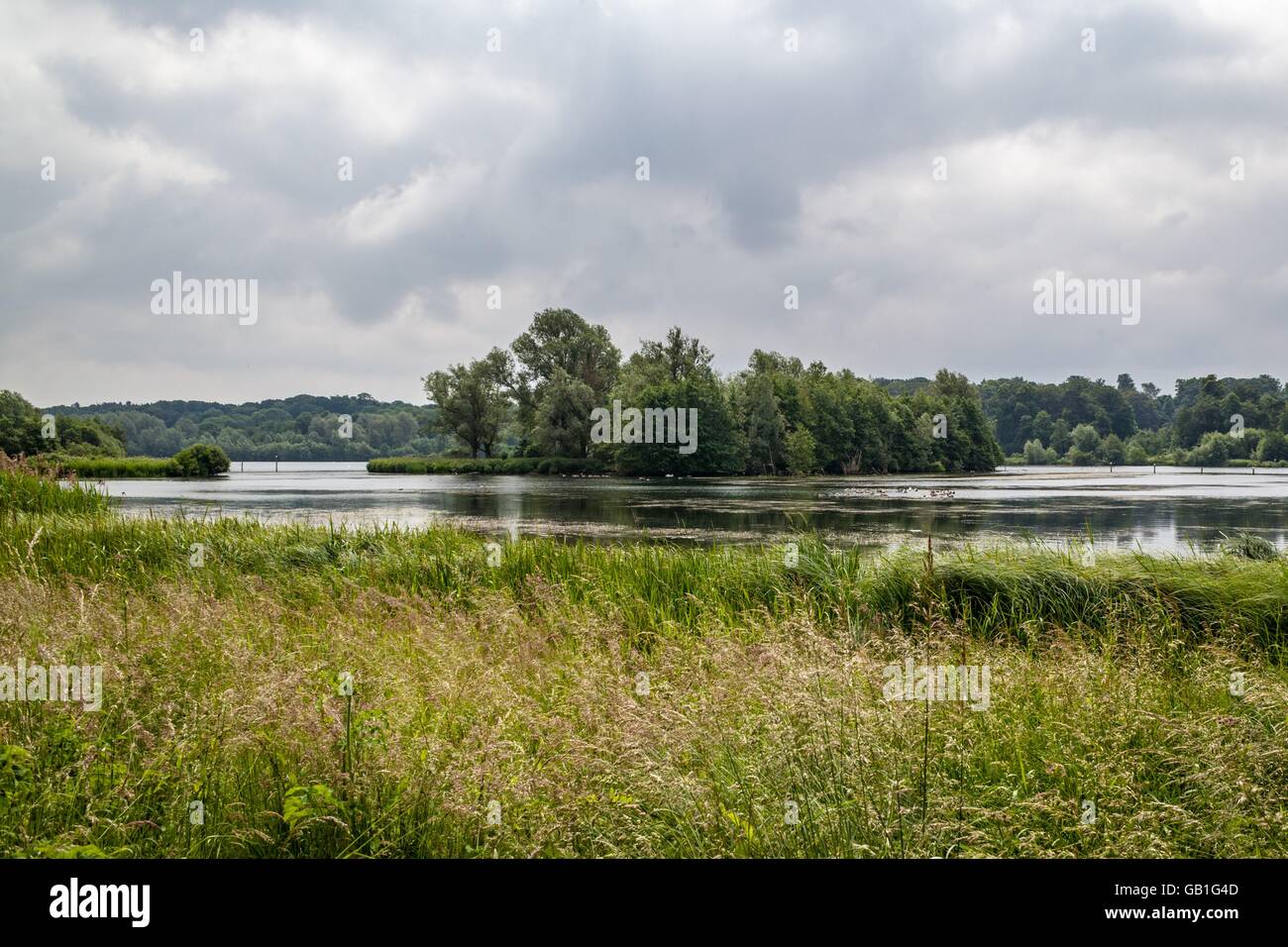 whitlingham broad norfolk uk Stock Photo - Alamy