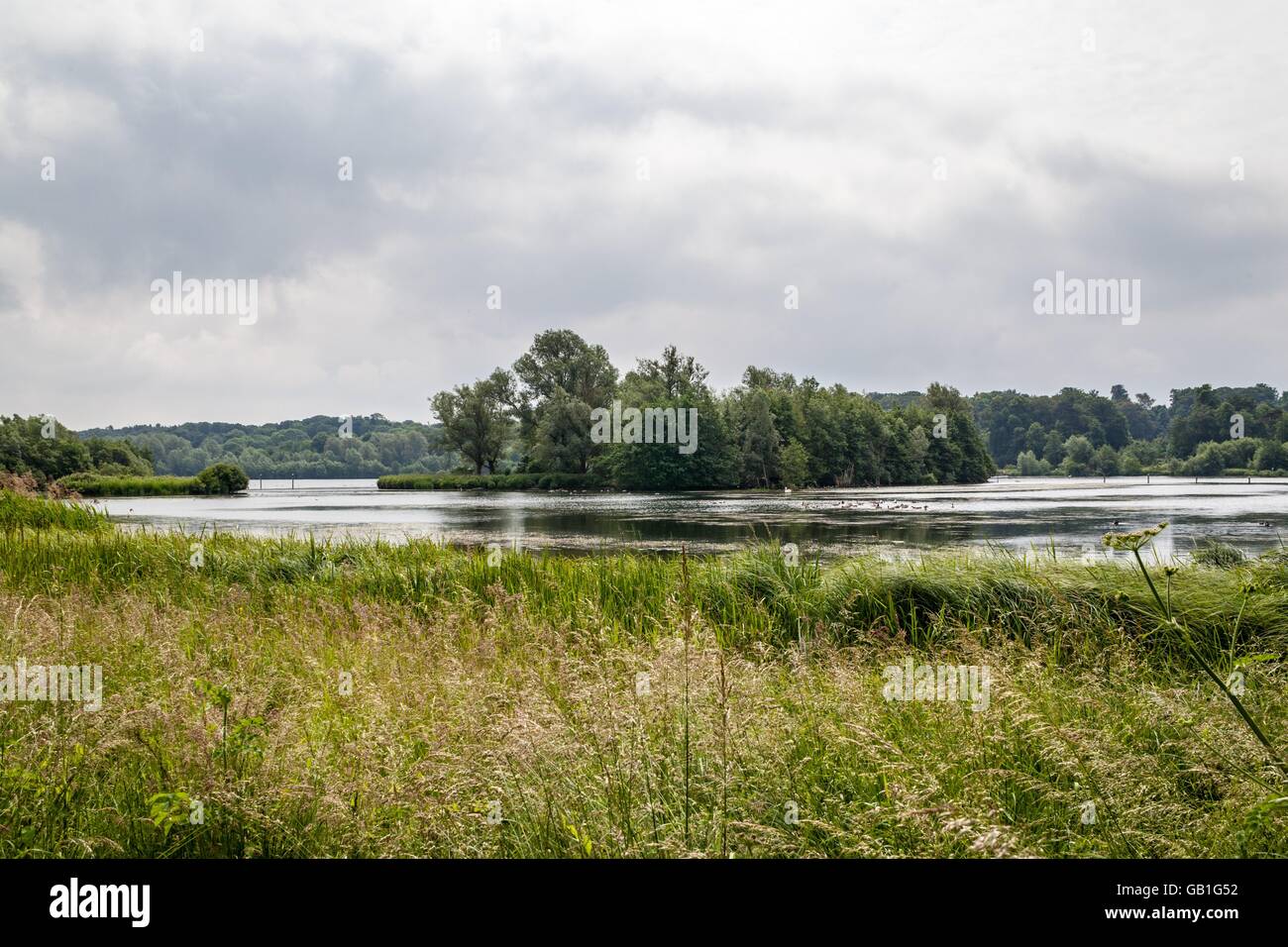 whitlingham broad norfolk uk Stock Photo - Alamy