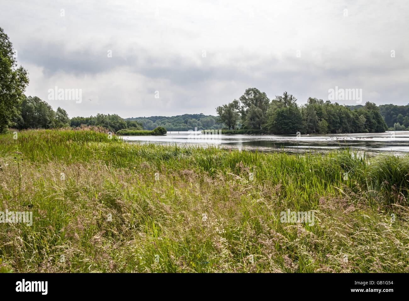 whitlingham broad norfolk uk Stock Photo - Alamy