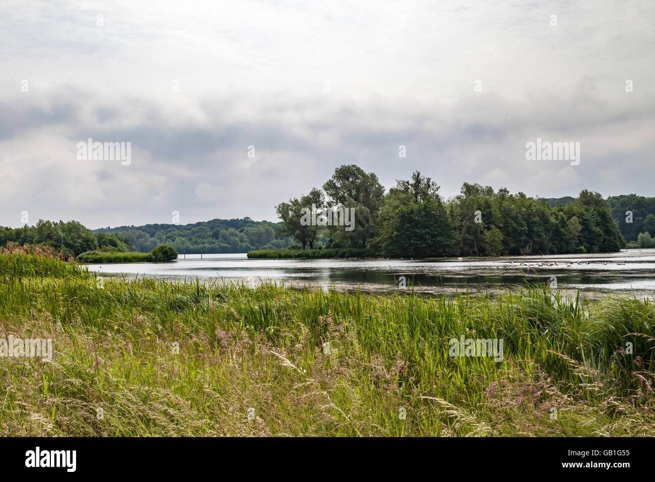 whitlingham broad norfolk uk Stock Photo - Alamy