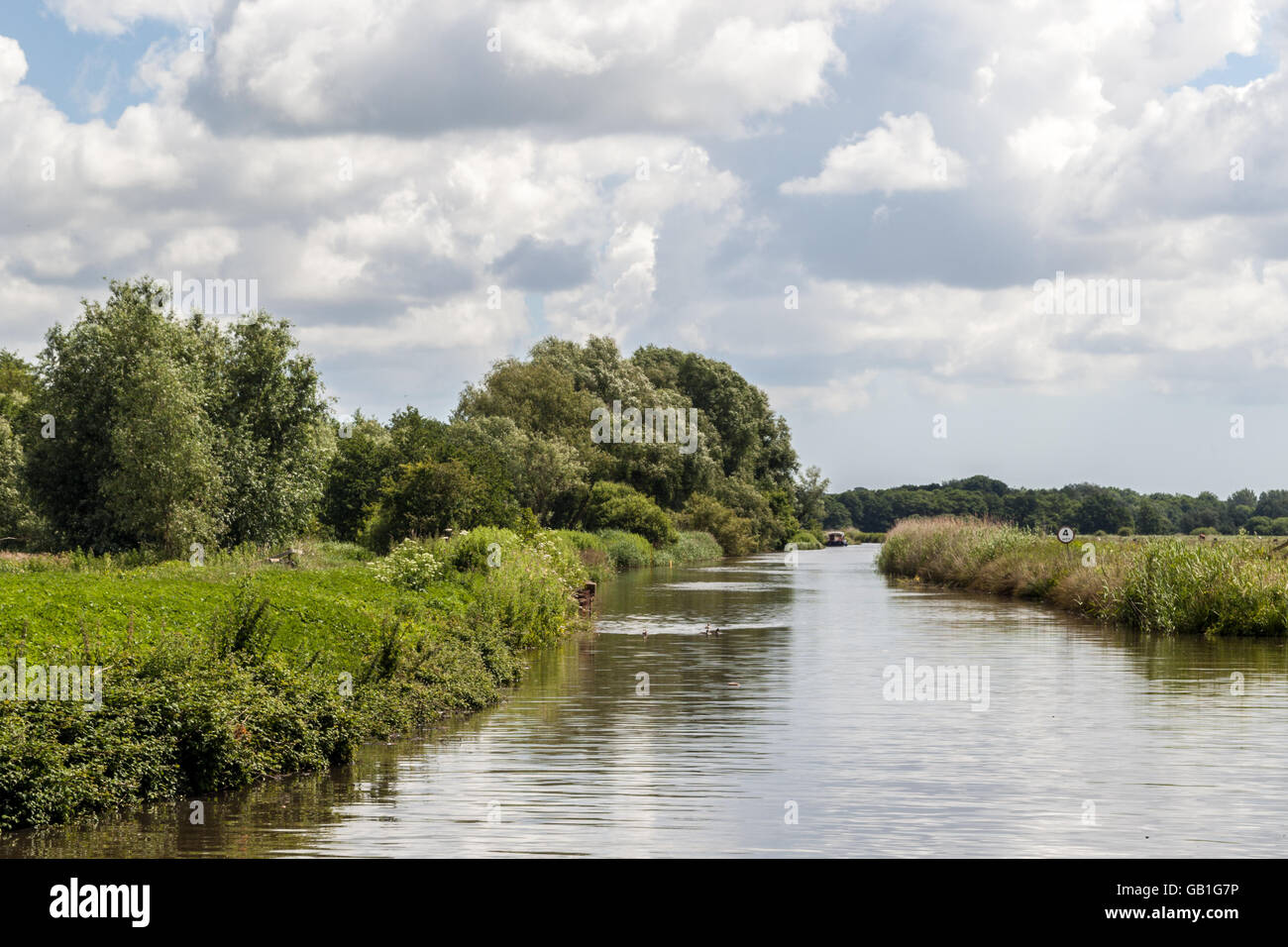 river chet loddon uk Stock Photo - Alamy