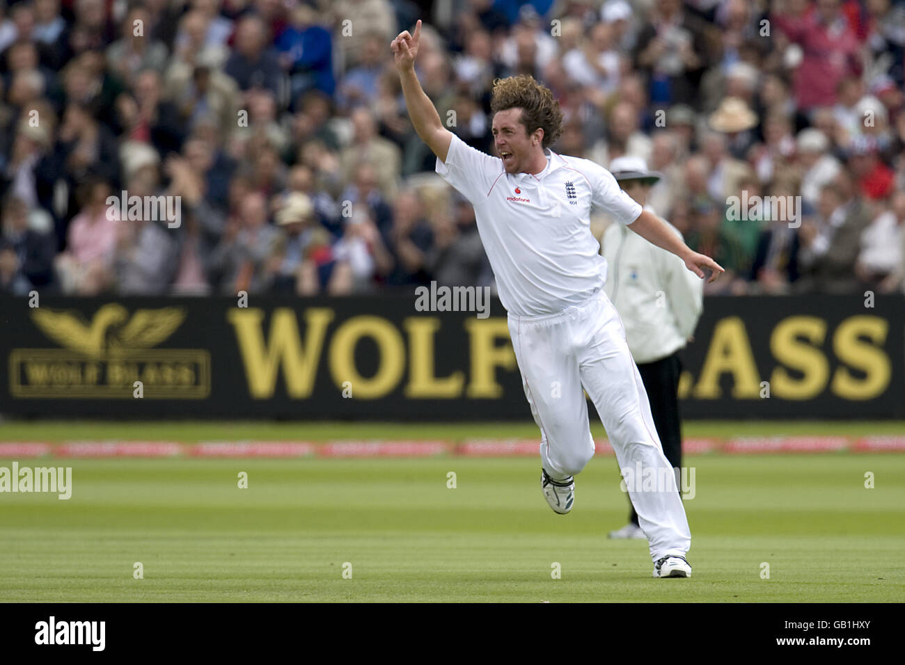 England's Ryan Sidebottom celebrates taking another wicket during The ...