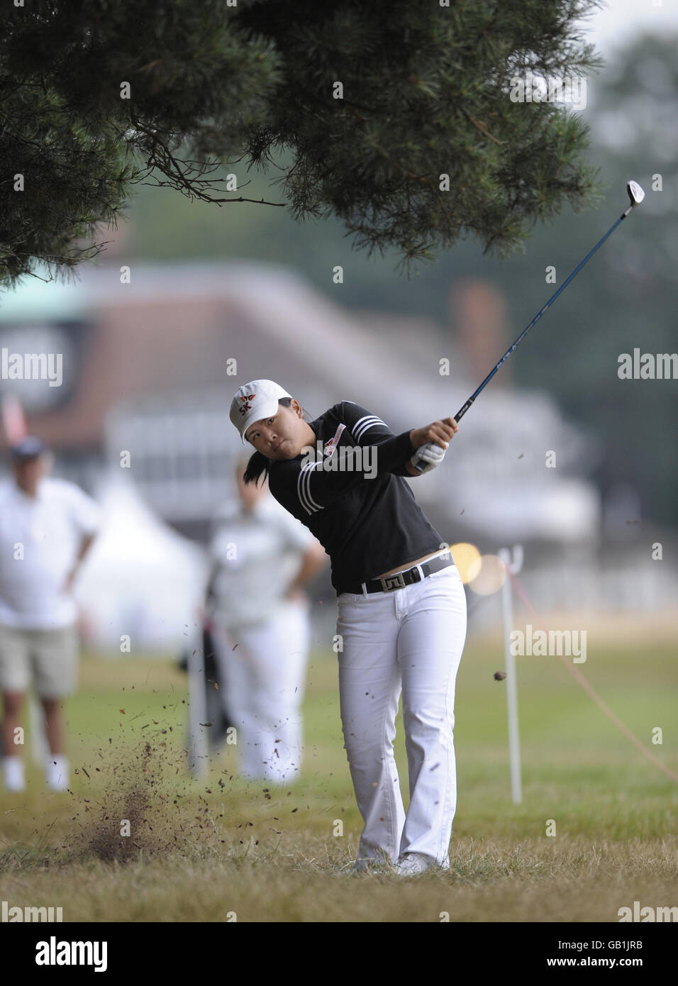 In bee park golf hi-res stock photography and images - Alamy