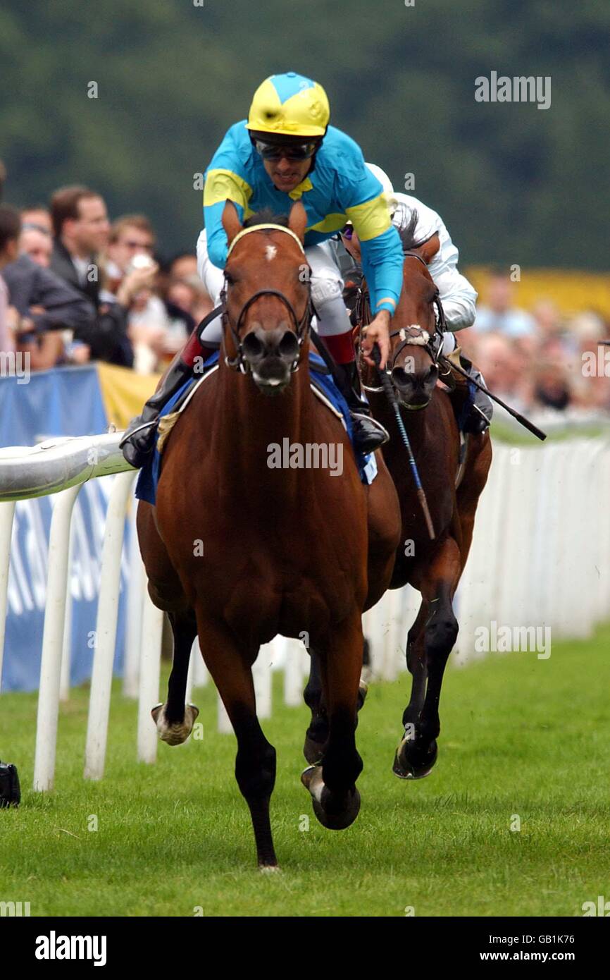 Falbrav horse hi-res stock photography and images - Alamy