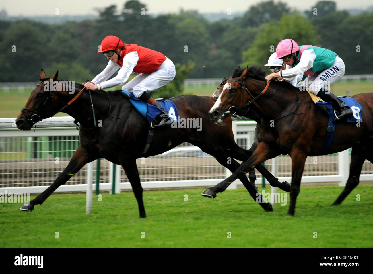 Horse Racing - Big Night Down Under - Sandown Park Racecourse Stock ...