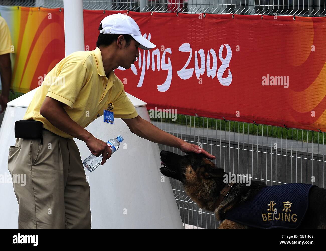 Security dogs are given water outside olympic national stadium hi-res ...