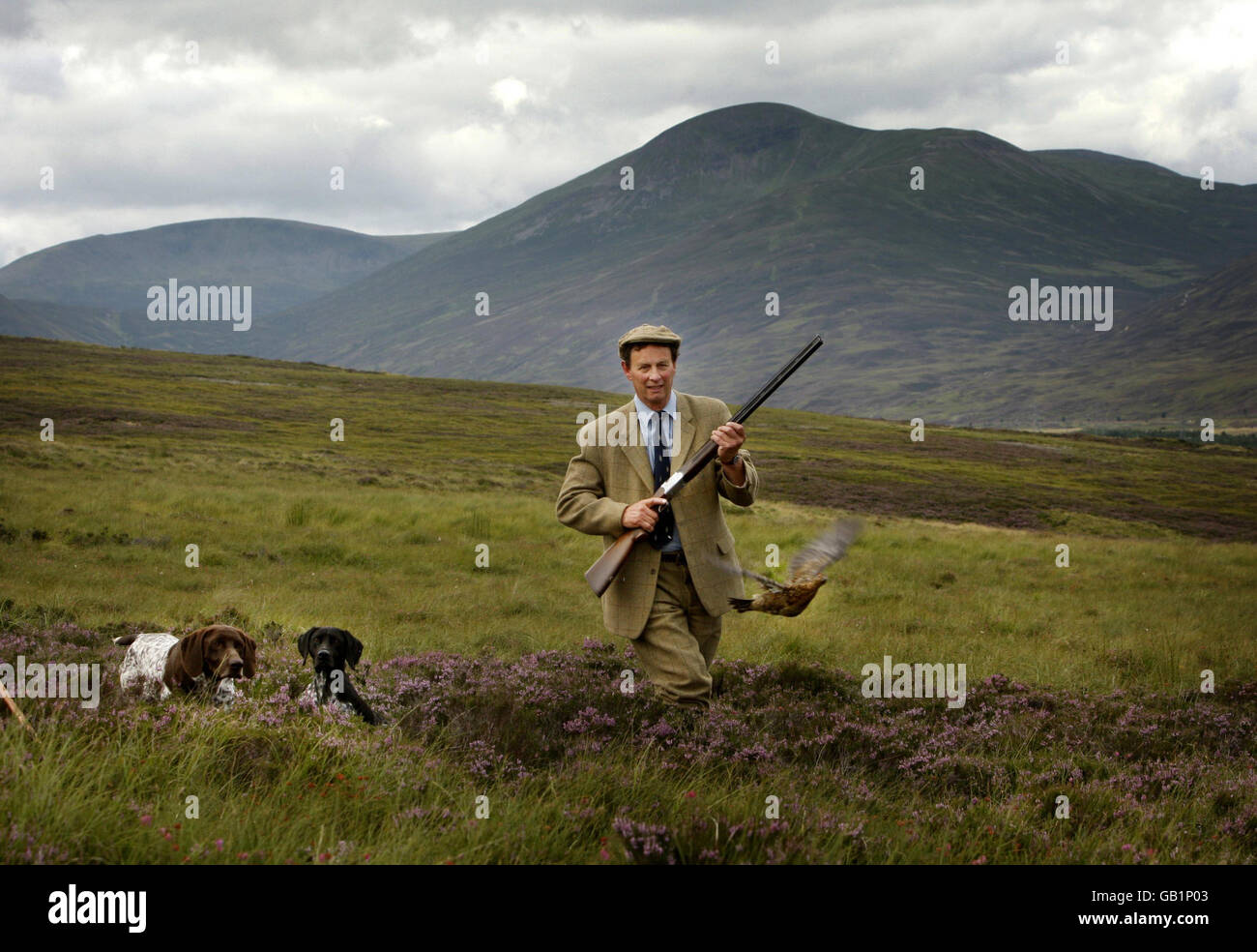 Ian McCall, Game and Wildlife Conservation Trust Director Scotland, on ...