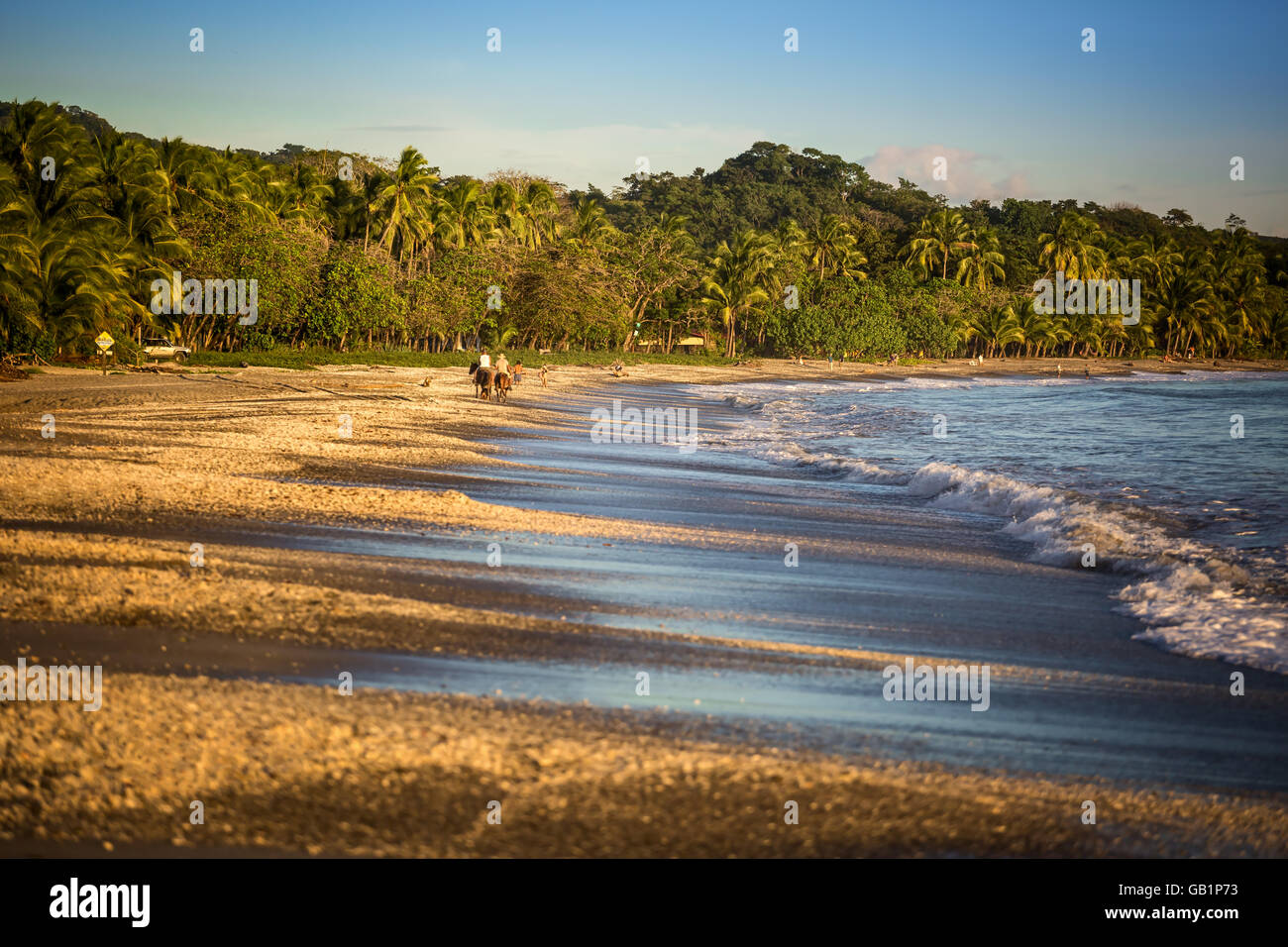 Beautiful landscape of sand beach and palm trees on the Samara beach ...