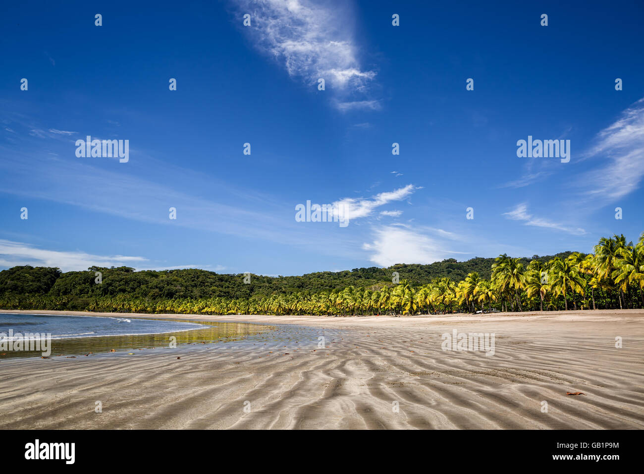 Beautiful landscape of sand beach and palm trees on the Carrillo beach ...