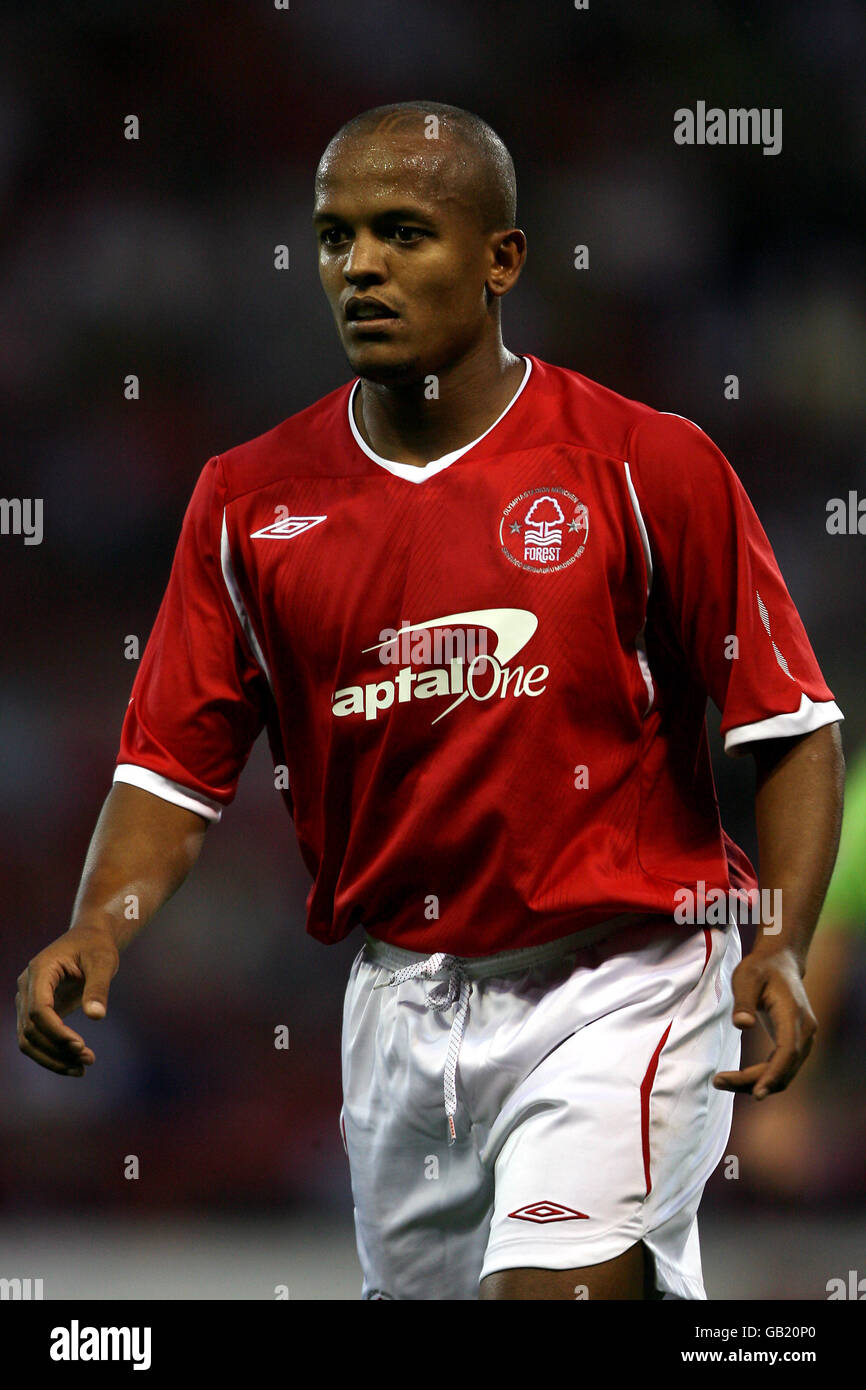 Robert earnshaw forest hi-res stock photography and images - Alamy
