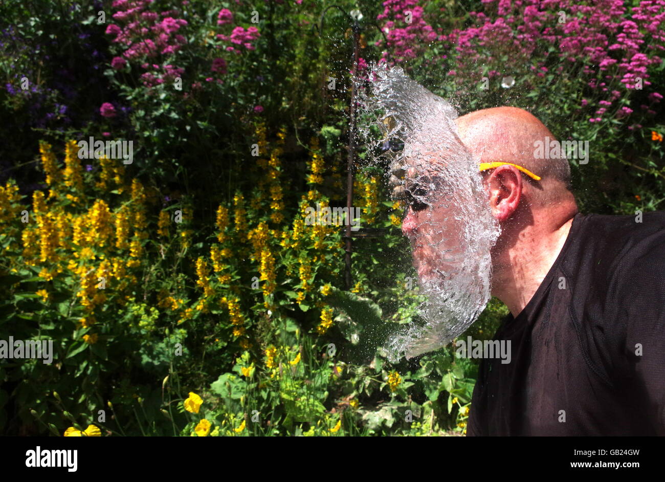 In your face Stock Photo - Alamy