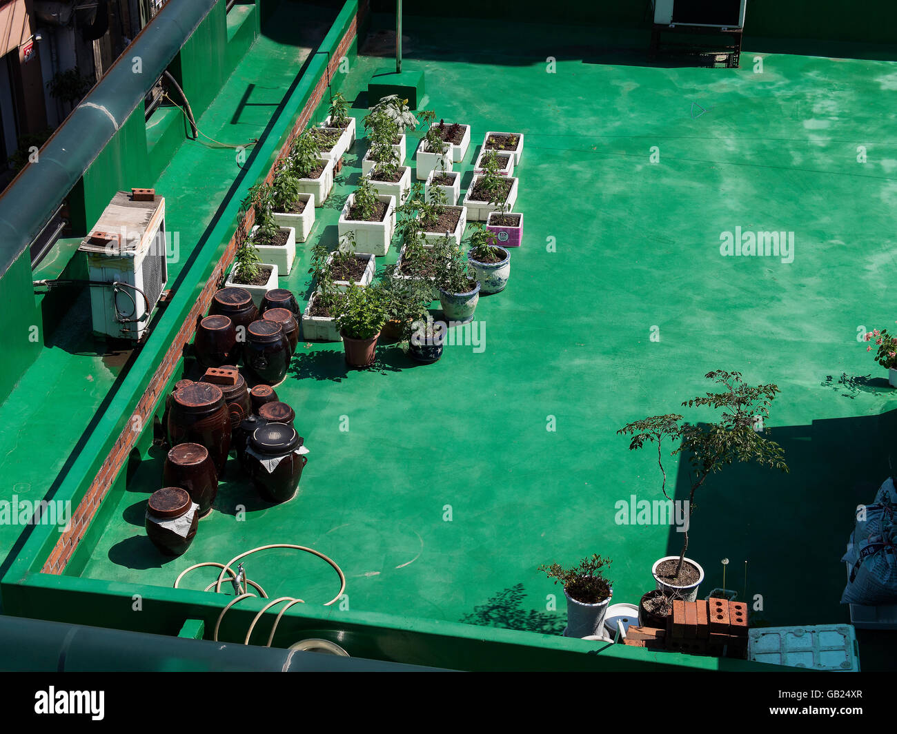 roof garden with plants and Kimchi pottery in Seoul, South Korea, Asia ...