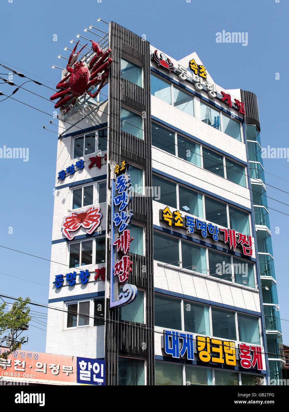 fish-Restaurant, port of Sokcho, province Gangwon, South Korea, Asia ...