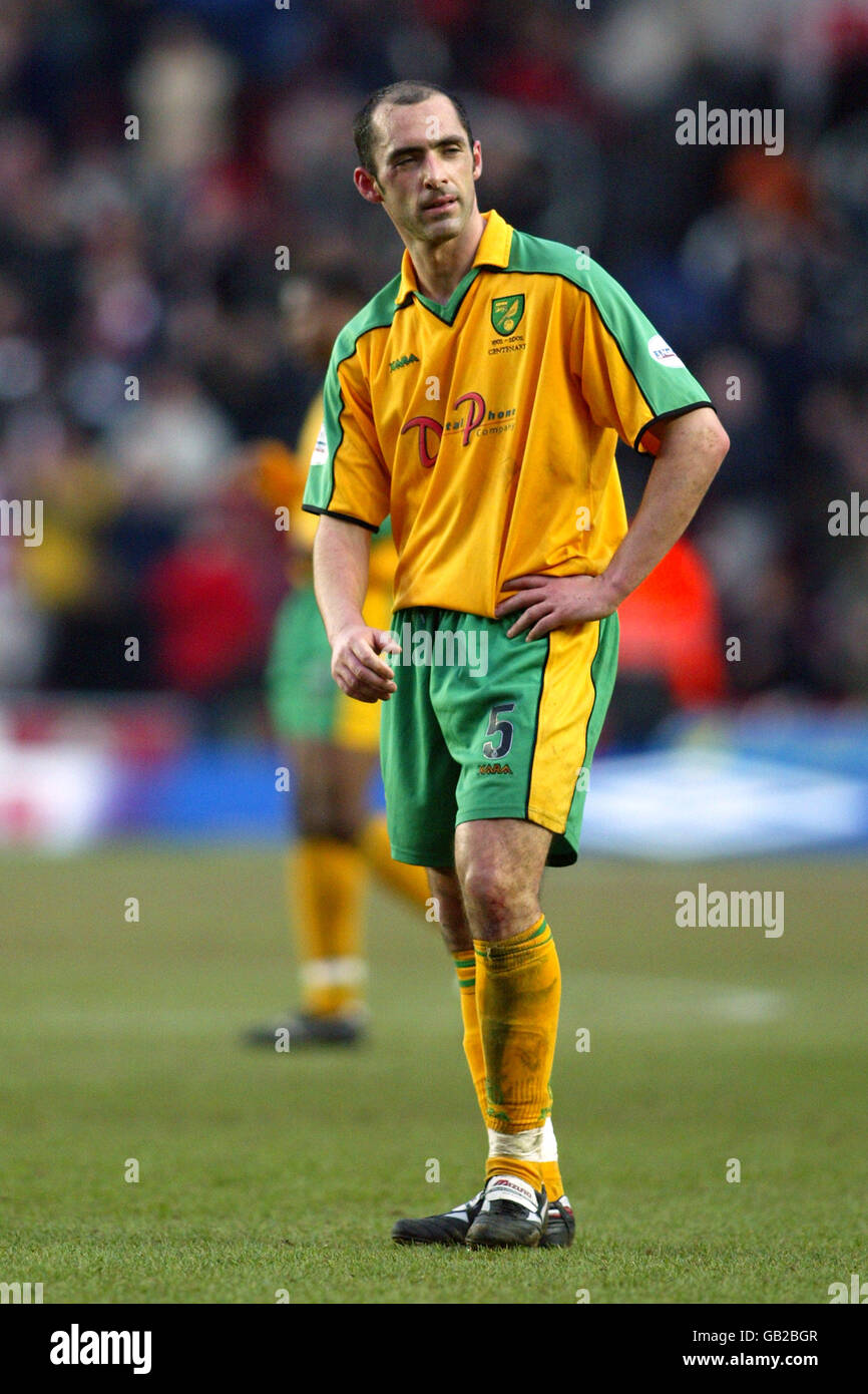 Norwich City's Craig Fleming is dejected after defeat by Southampton ...