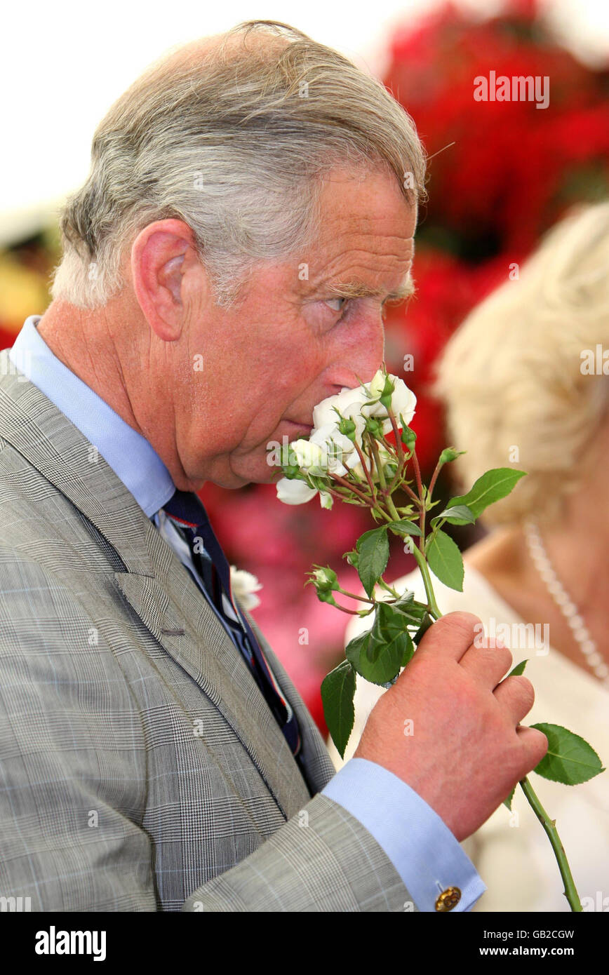 Sandringham Flower Show Stock Photo - Alamy