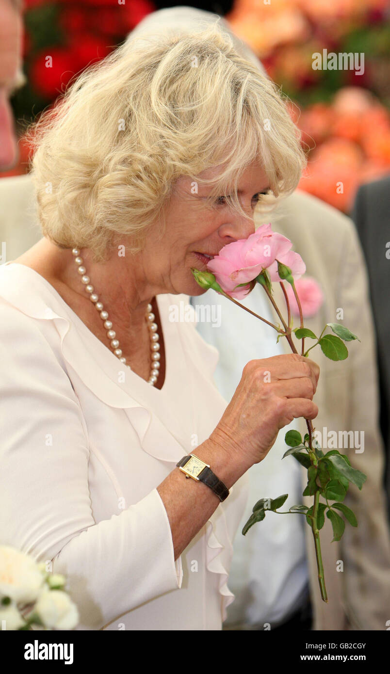 Sandringham Flower Show Stock Photo - Alamy