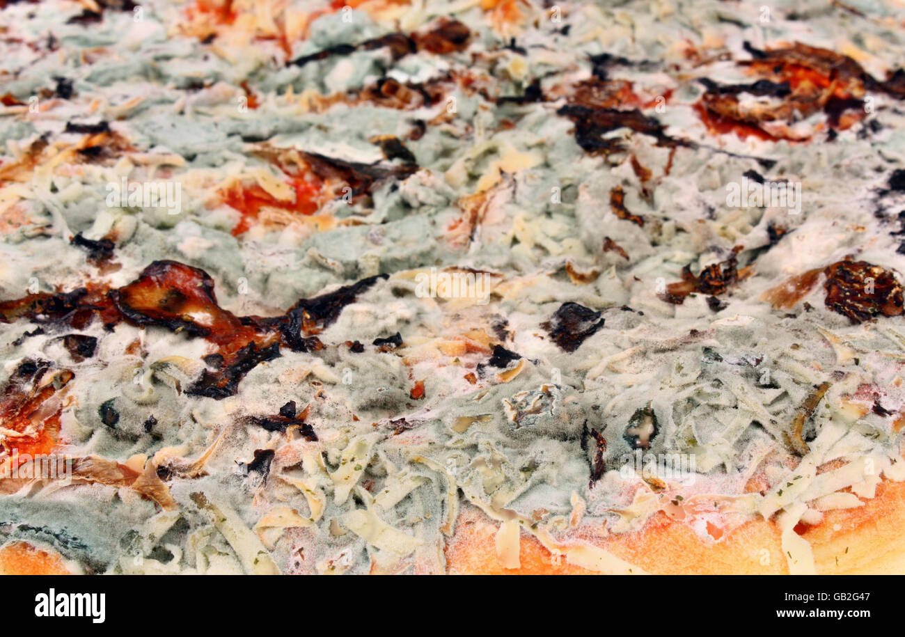 Old moldy pizza background vertical. Food poisoning Stock Photo - Alamy