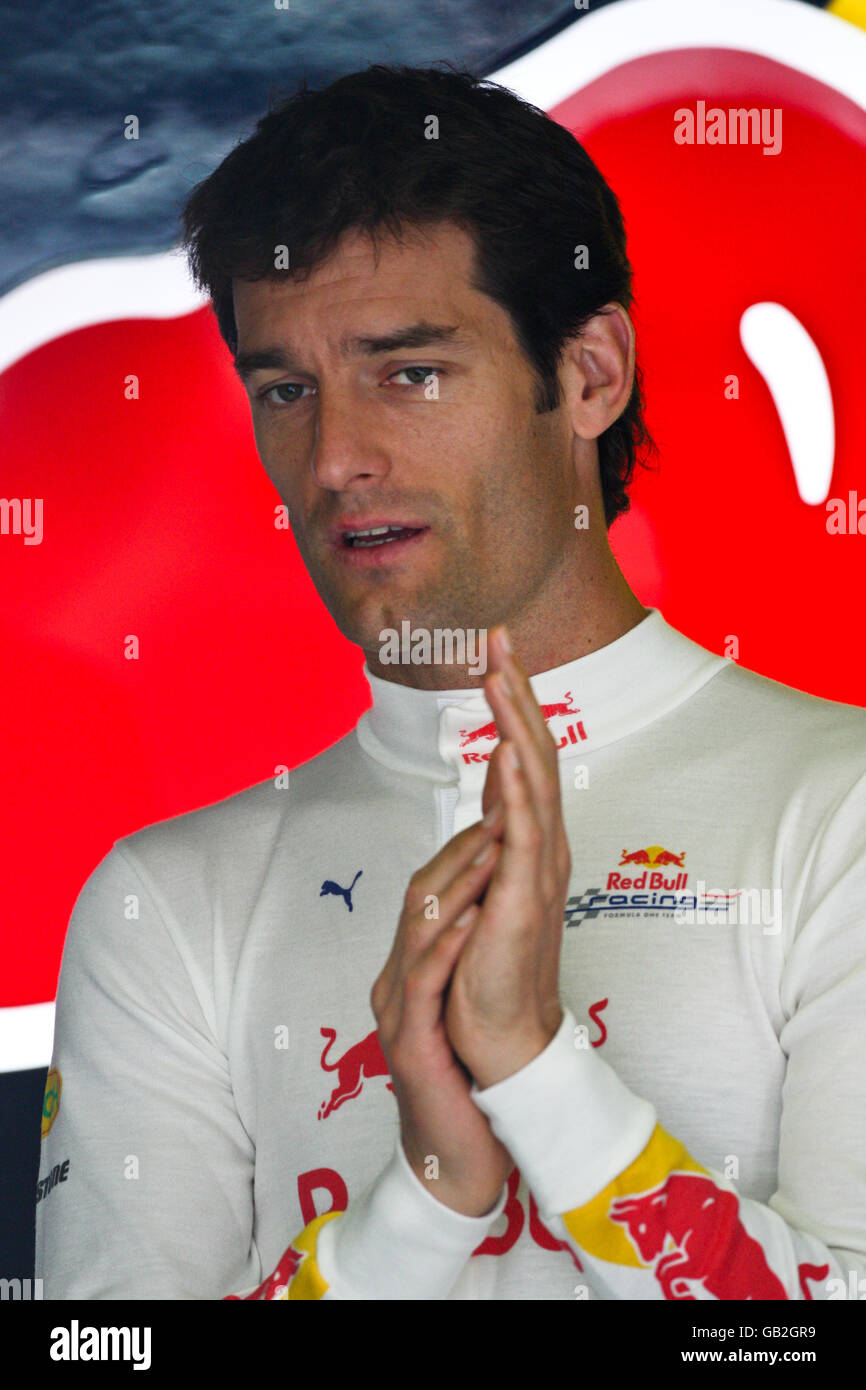 Formula One Motor Racing - French Grand Prix - Practice Day - Magny ...