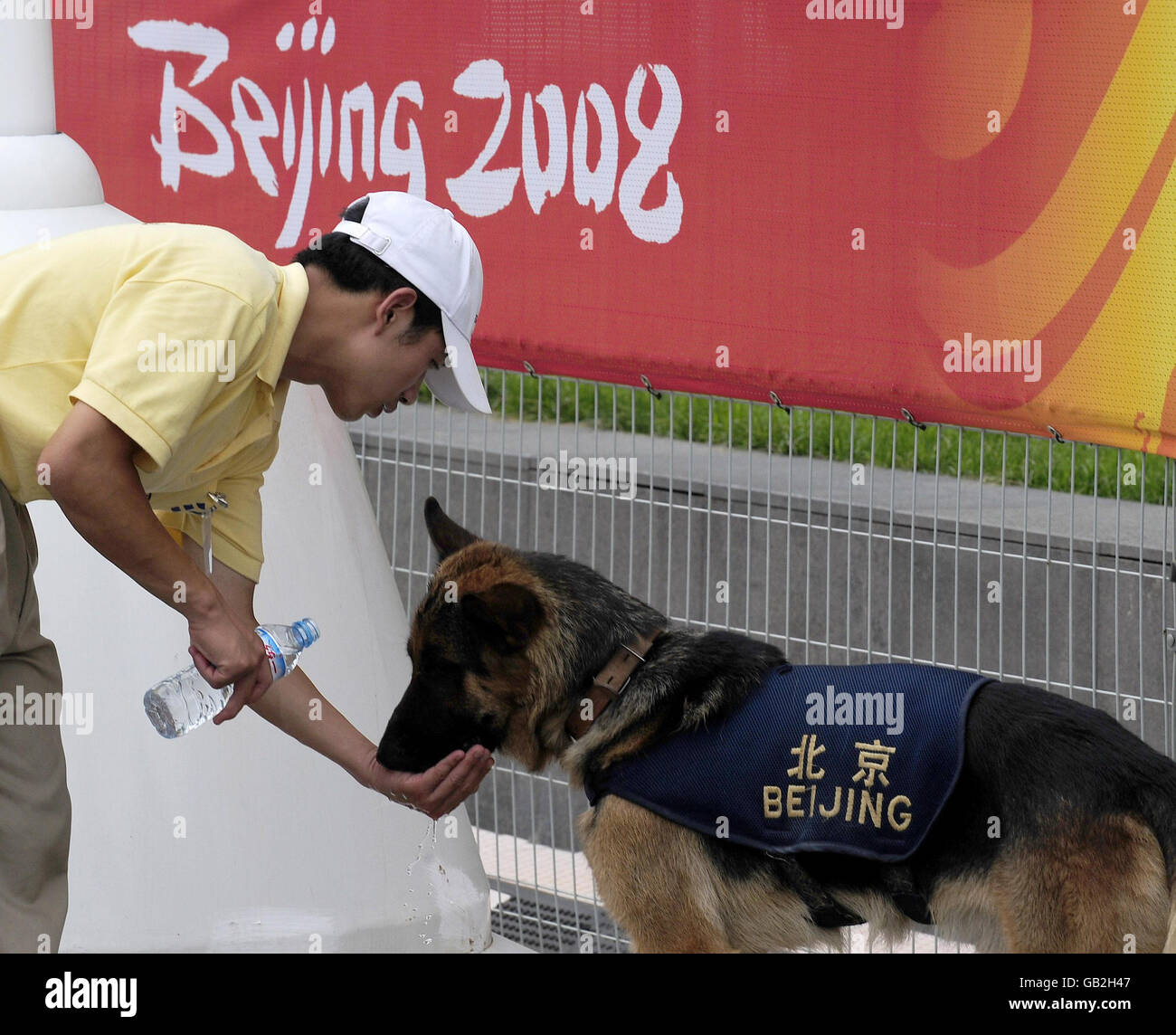 Olympics - Beijing Olympic Games 2008. A guard dog is given a drink of ...