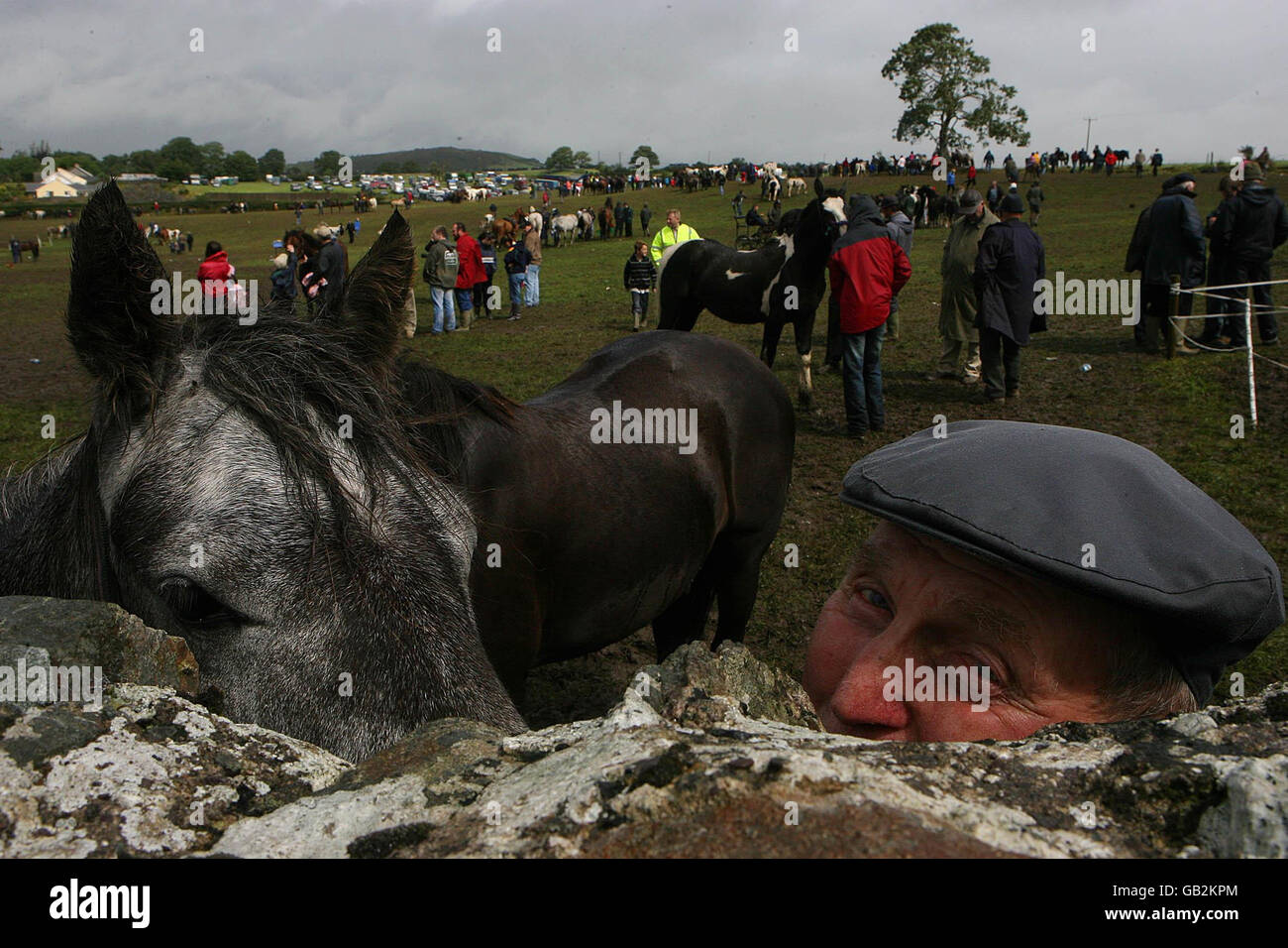 Ireland's oldest traditional Puck fair opens in Killorglin, County ...