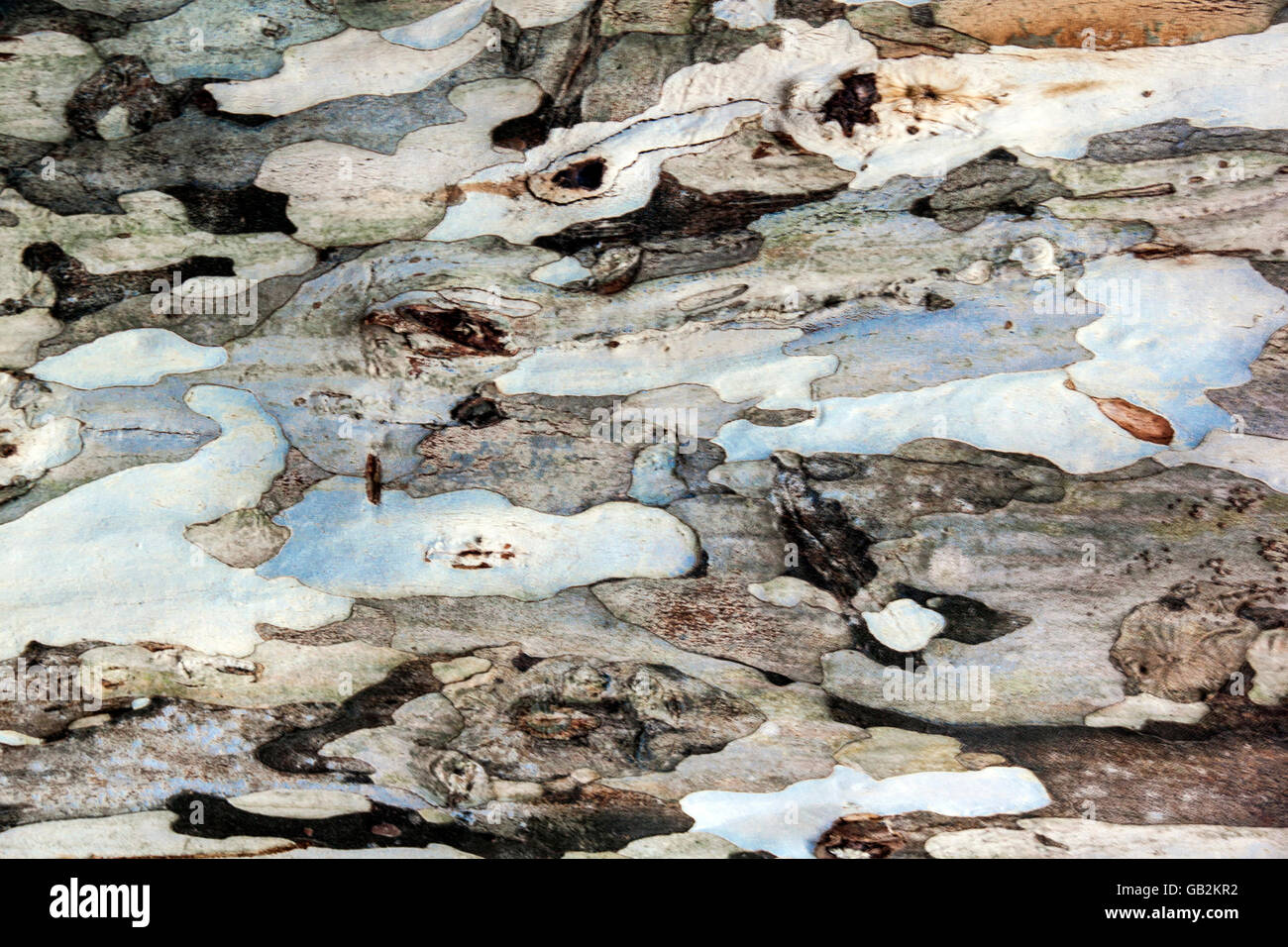 Abstract close up background of natural soft patterns and textures on ...
