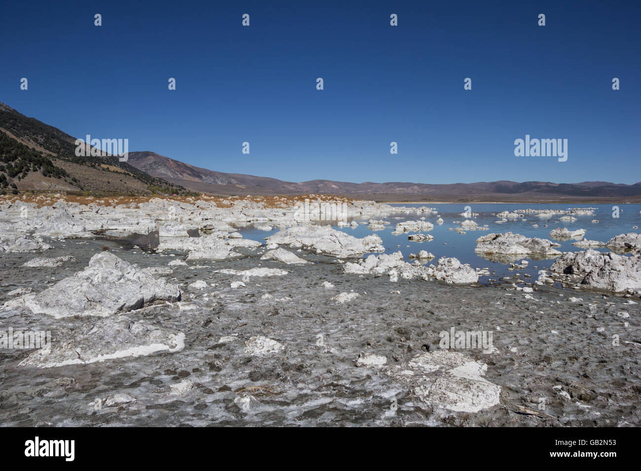 Salt concentration at Mono Lake in California, USA Stock Photo - Alamy