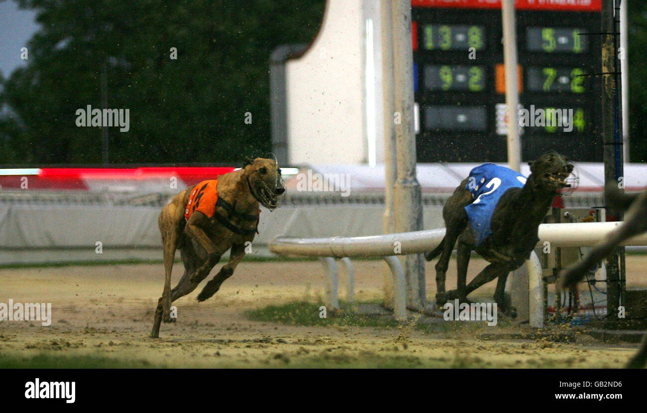 Deep chest aerodynamic build england mangrs hi-res stock photography ...