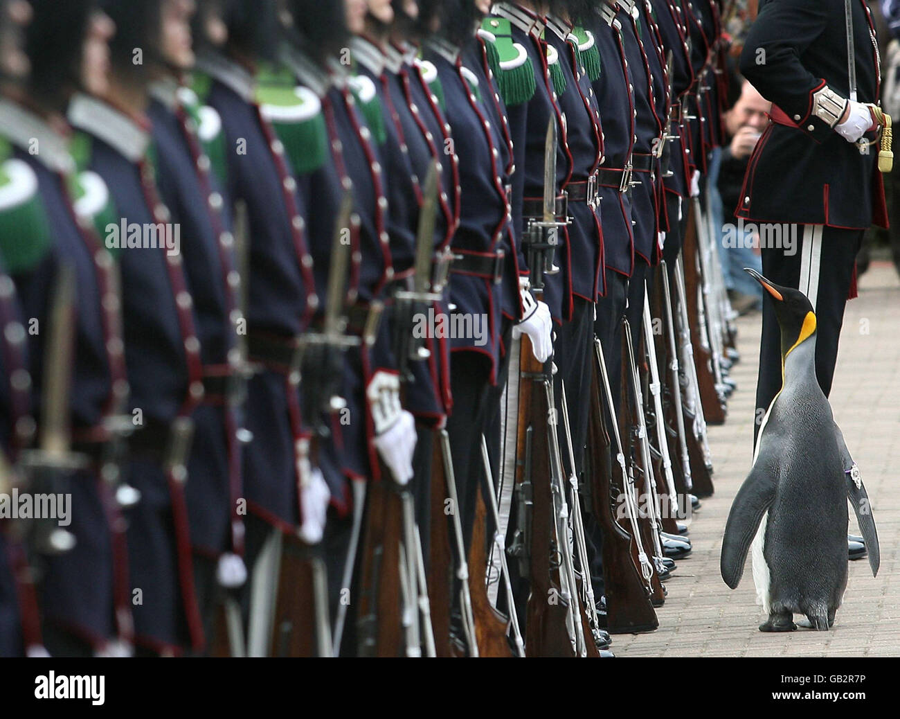 Edinburgh Zoo penguin and Colonel-in-Chief of the Norwegian King's ...