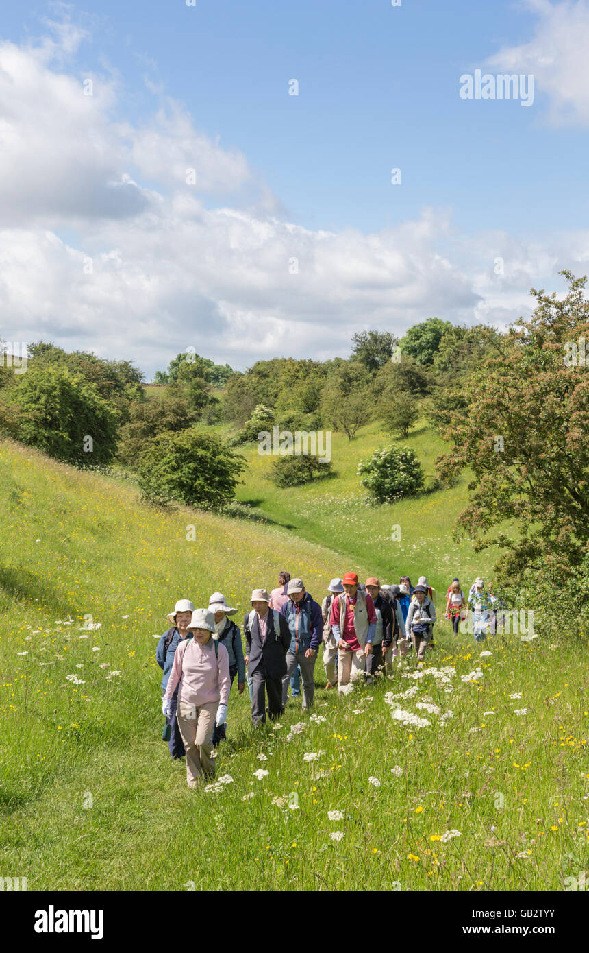 Group of walkers hi-res stock photography and images - Alamy