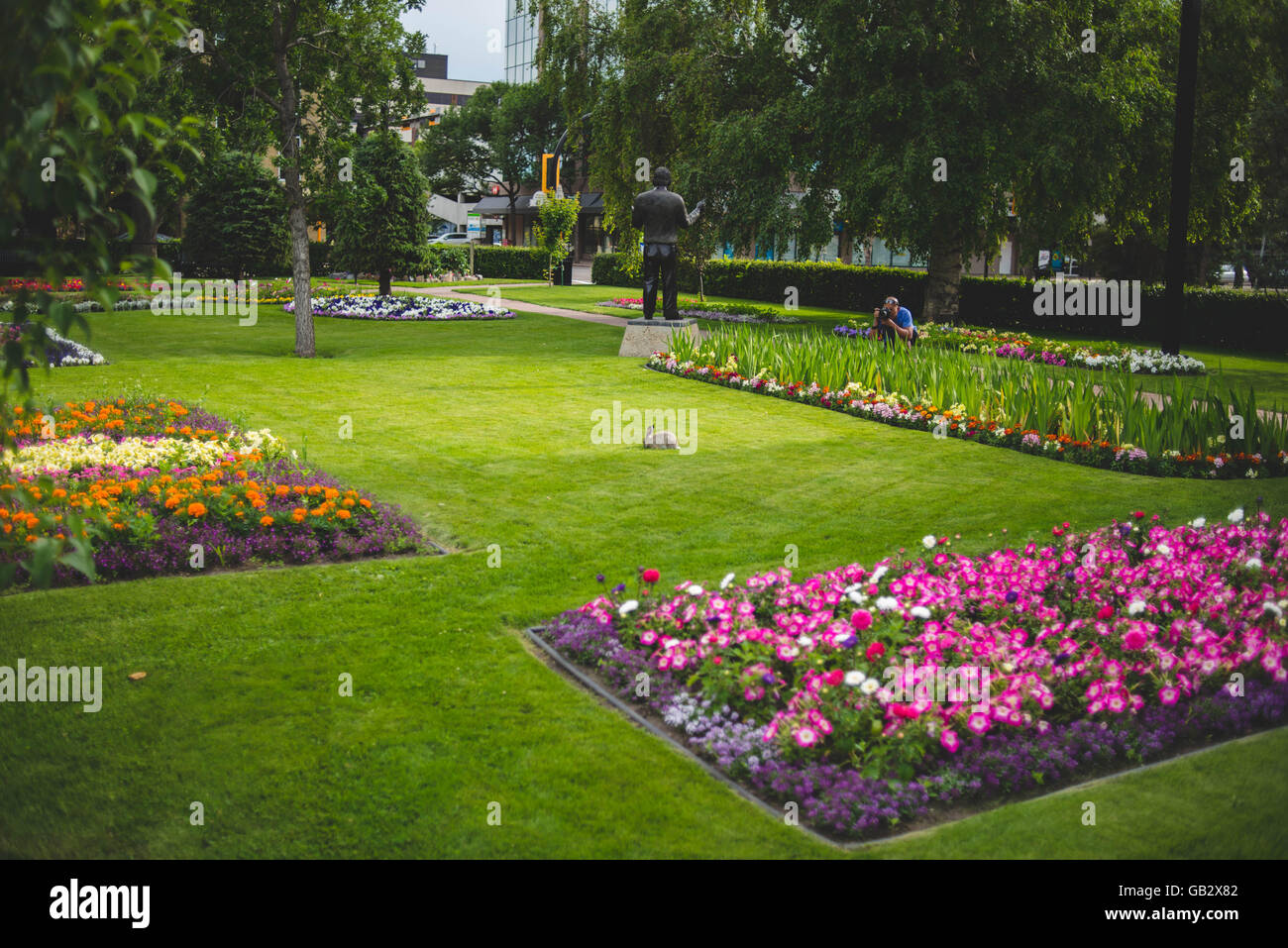 Rabbit Chasing High Resolution Stock Photography and Images - Alamy