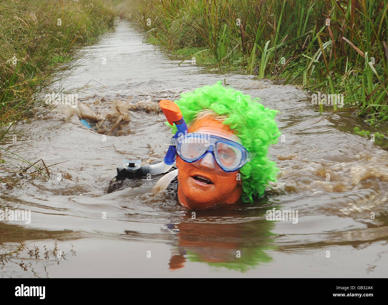 World Bog Snorkelling Championships Stock Photo - Alamy