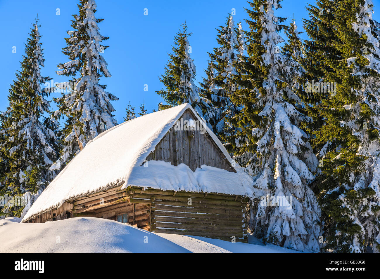 Snowfall wooden house in forest hi-res stock photography and images - Alamy