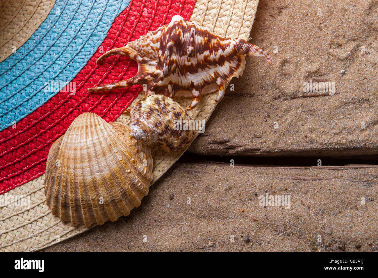Seashells on sand background. Three different seashells. Souvenirs from ...