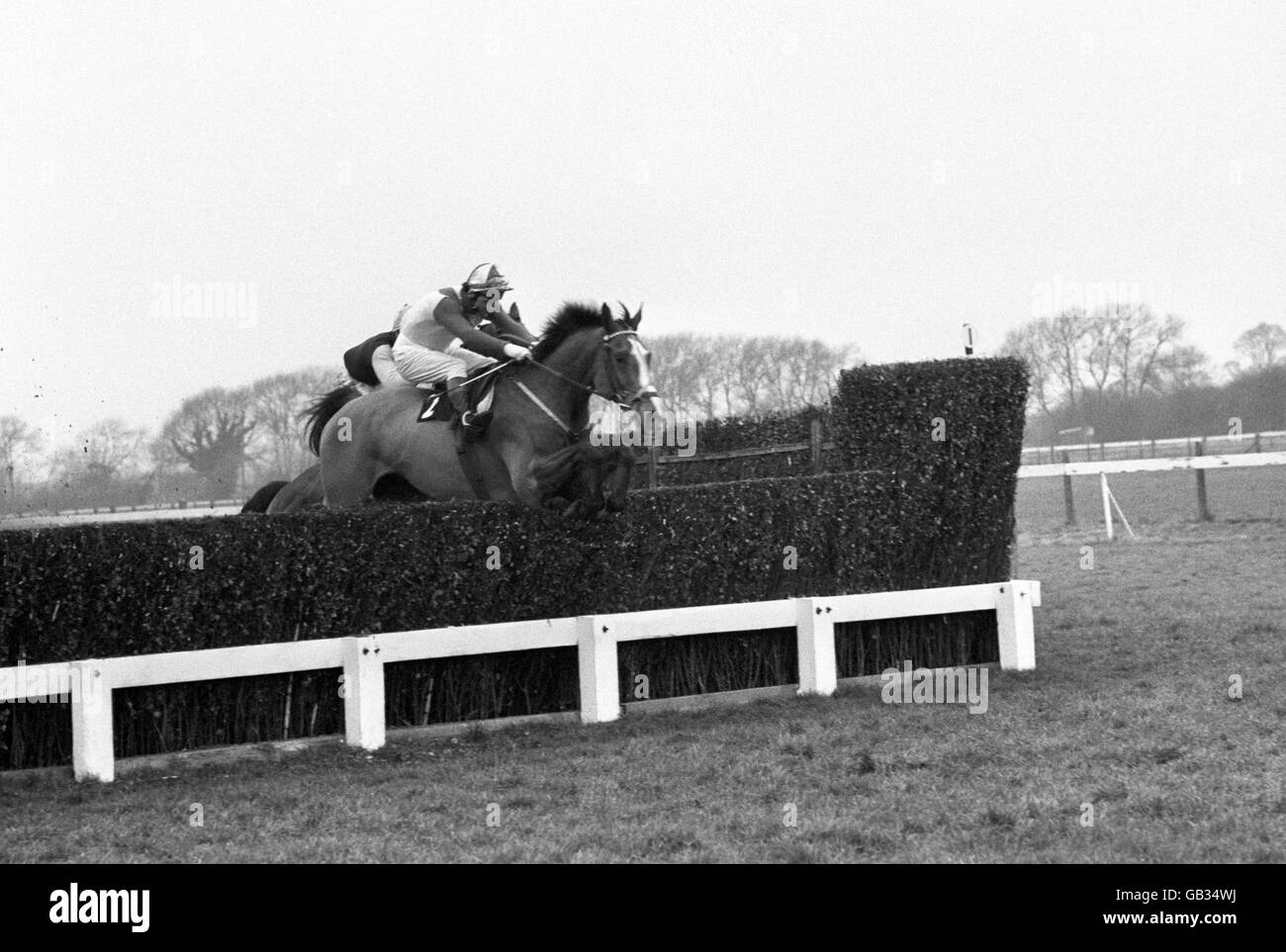 Royal windsor race course Black and White Stock Photos & Images - Alamy