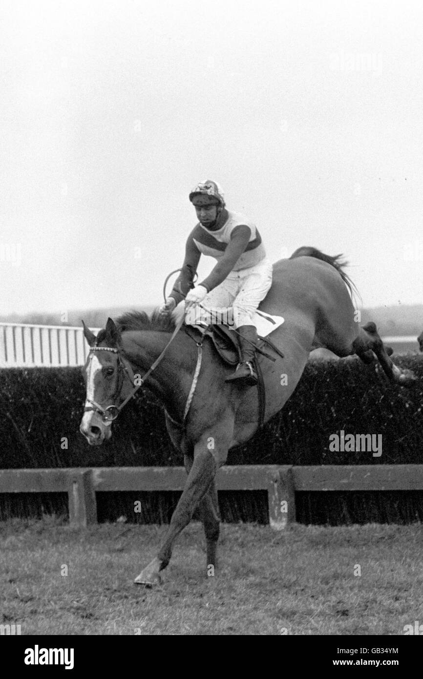 The dickler hi-res stock photography and images - Alamy