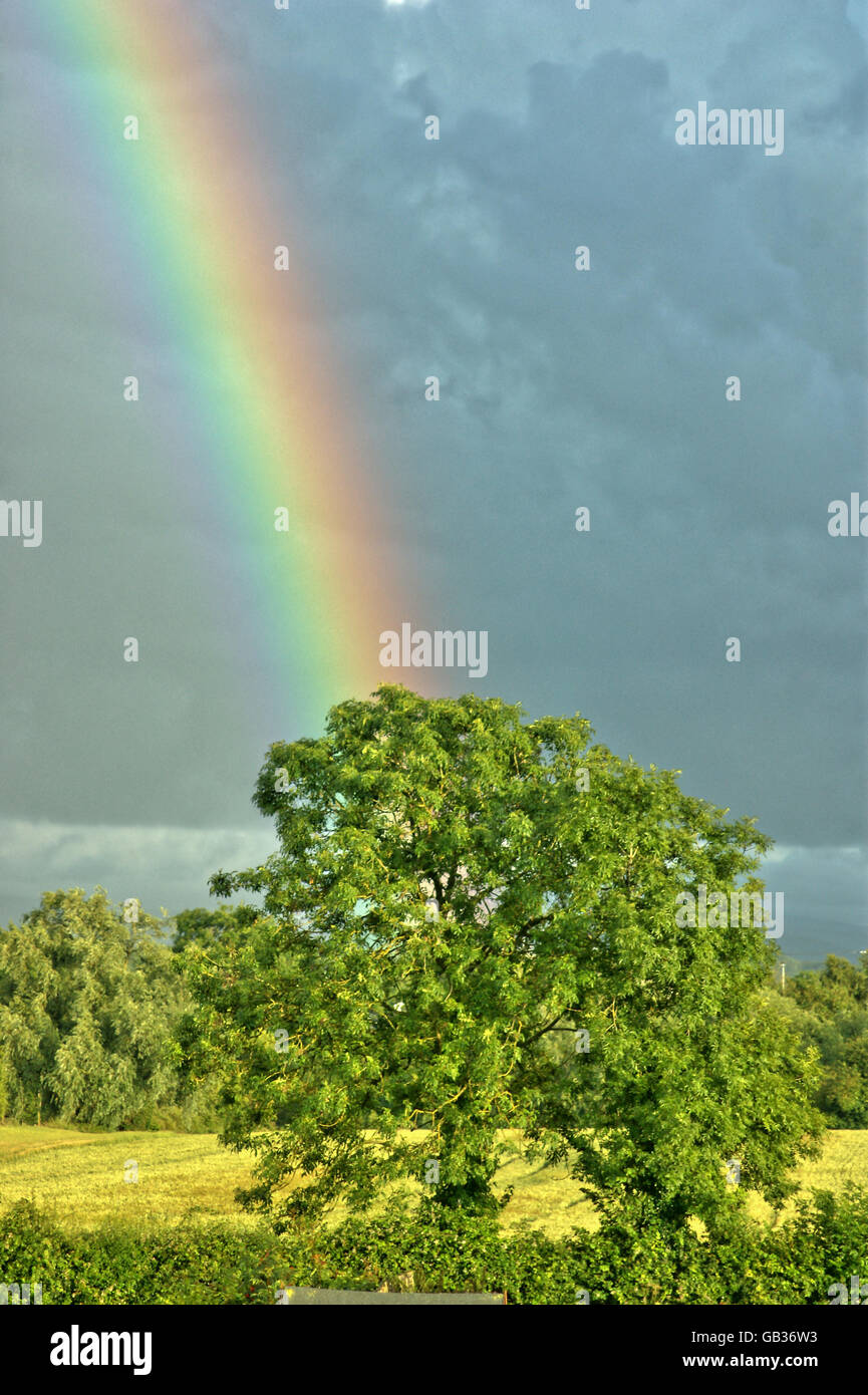 Rainbow over the forest hi-res stock photography and images - Alamy