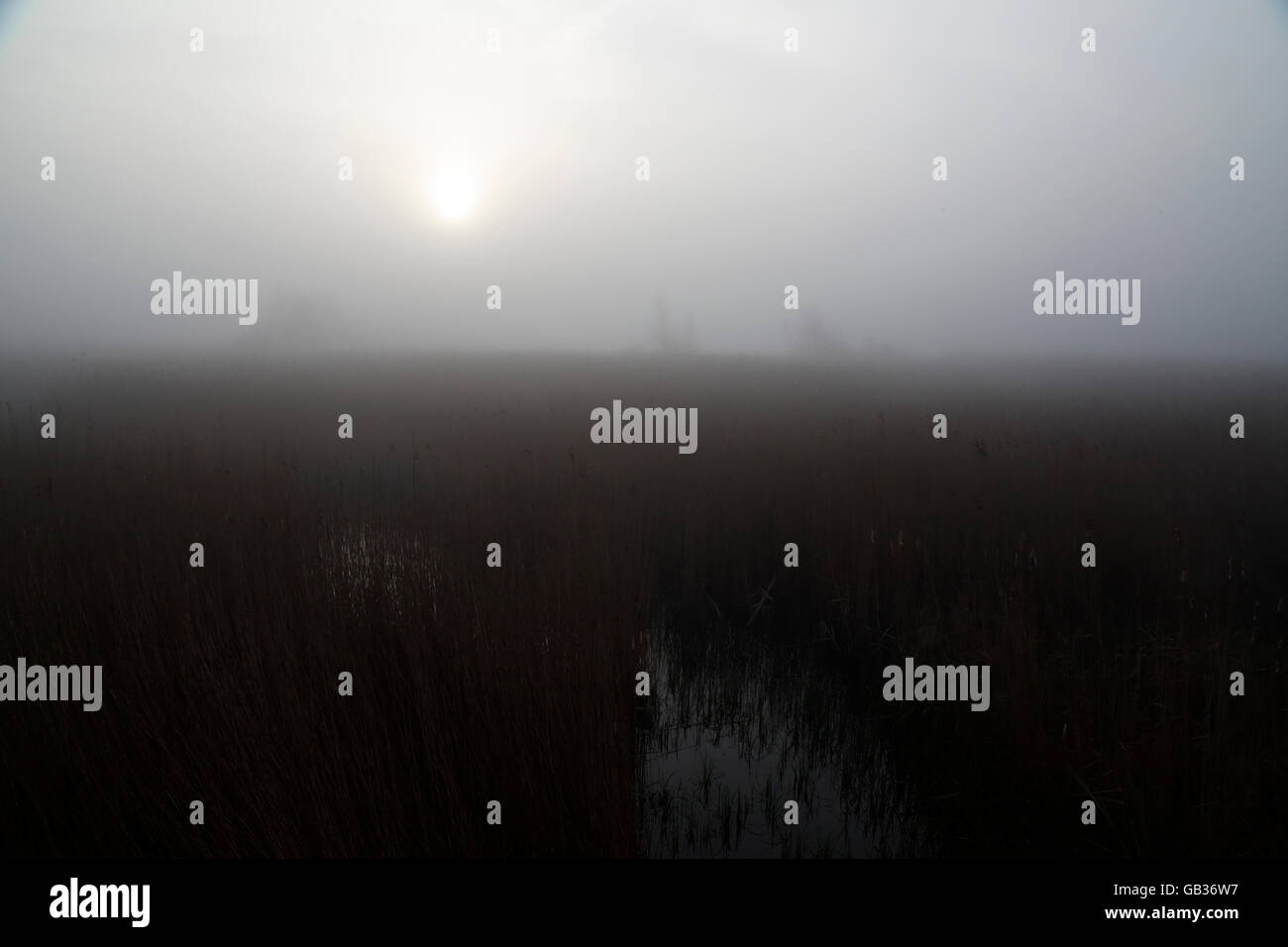 Rspb minsmere landscape hi-res stock photography and images - Alamy